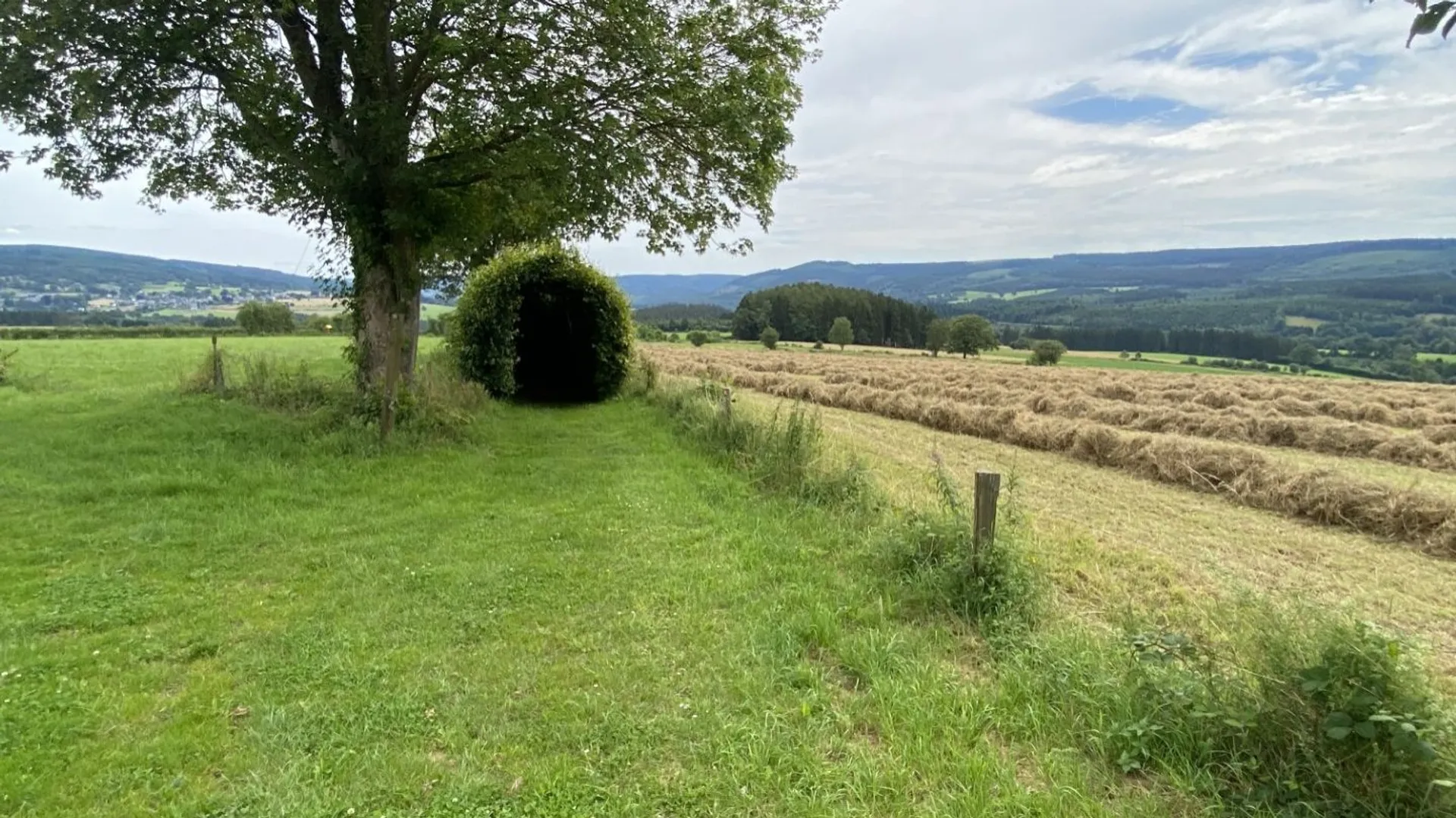 Les 14 marches Adeps du dimanche 27 juillet en Wallonie - RTBF Actus
