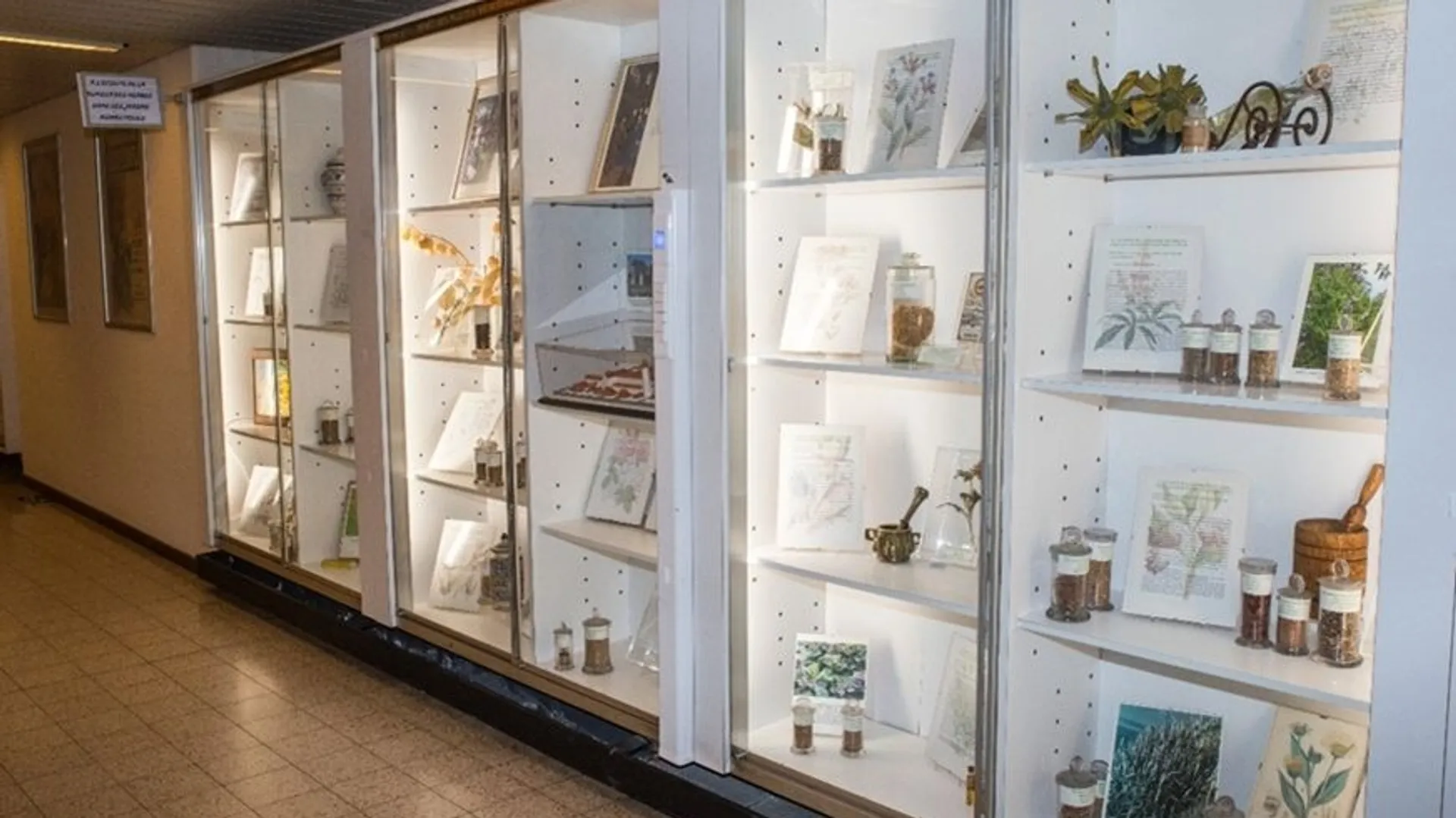 Bokep dream live non-VIPs she claimed she was a girlfriend