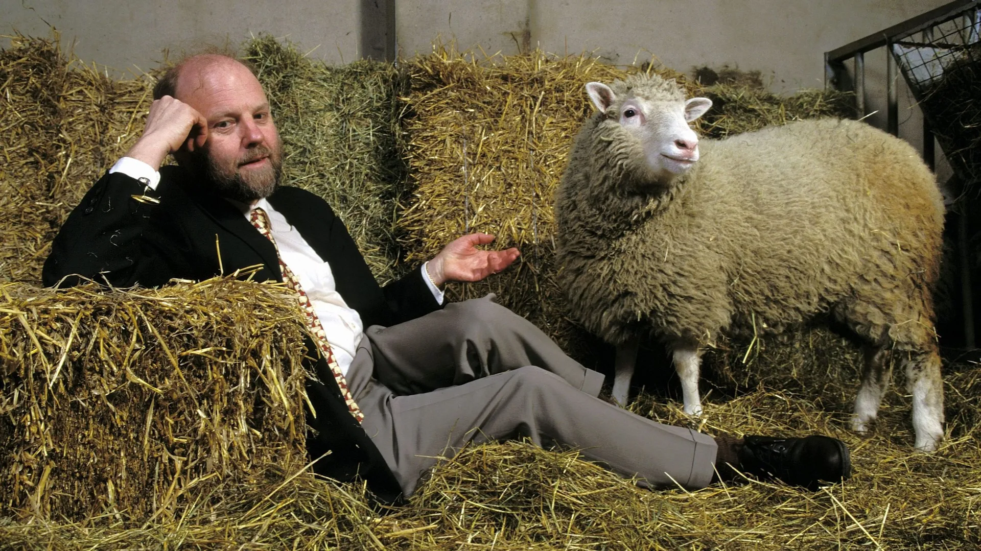 Dolly la brebis : 30 ans après, où sont passés les rêves de clonage ...
