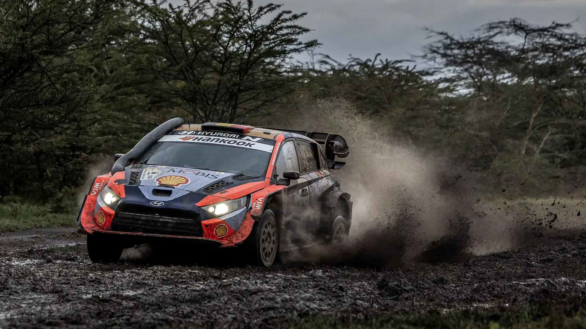 WRC Kenya : Evans s’offre le général en patron, Neuville limite la ...