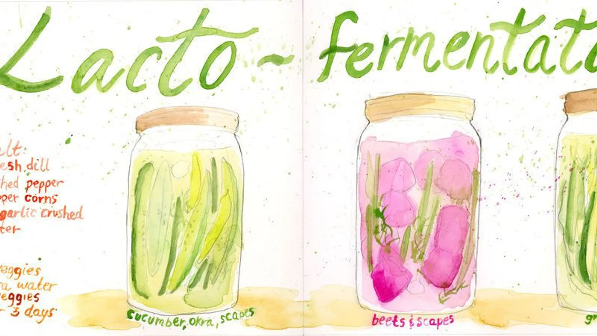 La fermentation, entre conservation des aliments et conservatisme en ...