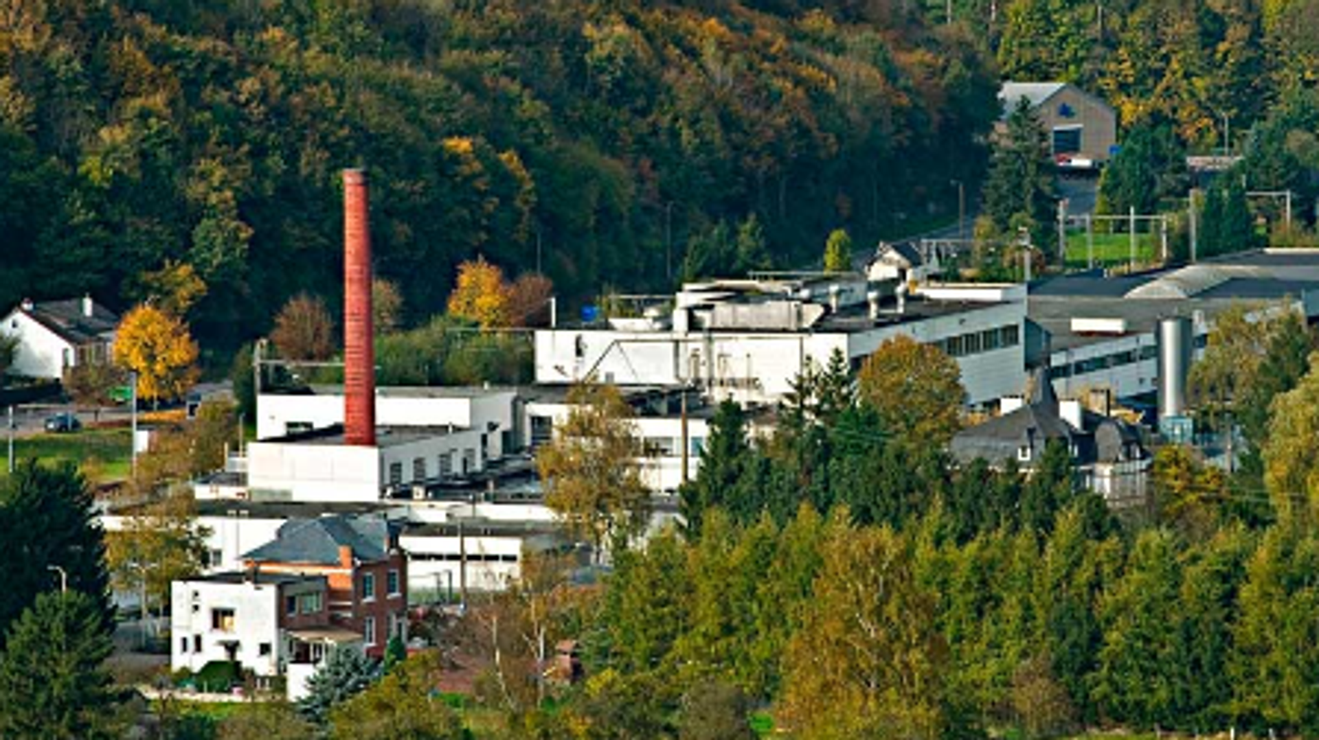 La société liégeoise Belourthe élue 'Entreprise de l'année' - RTBF Actus