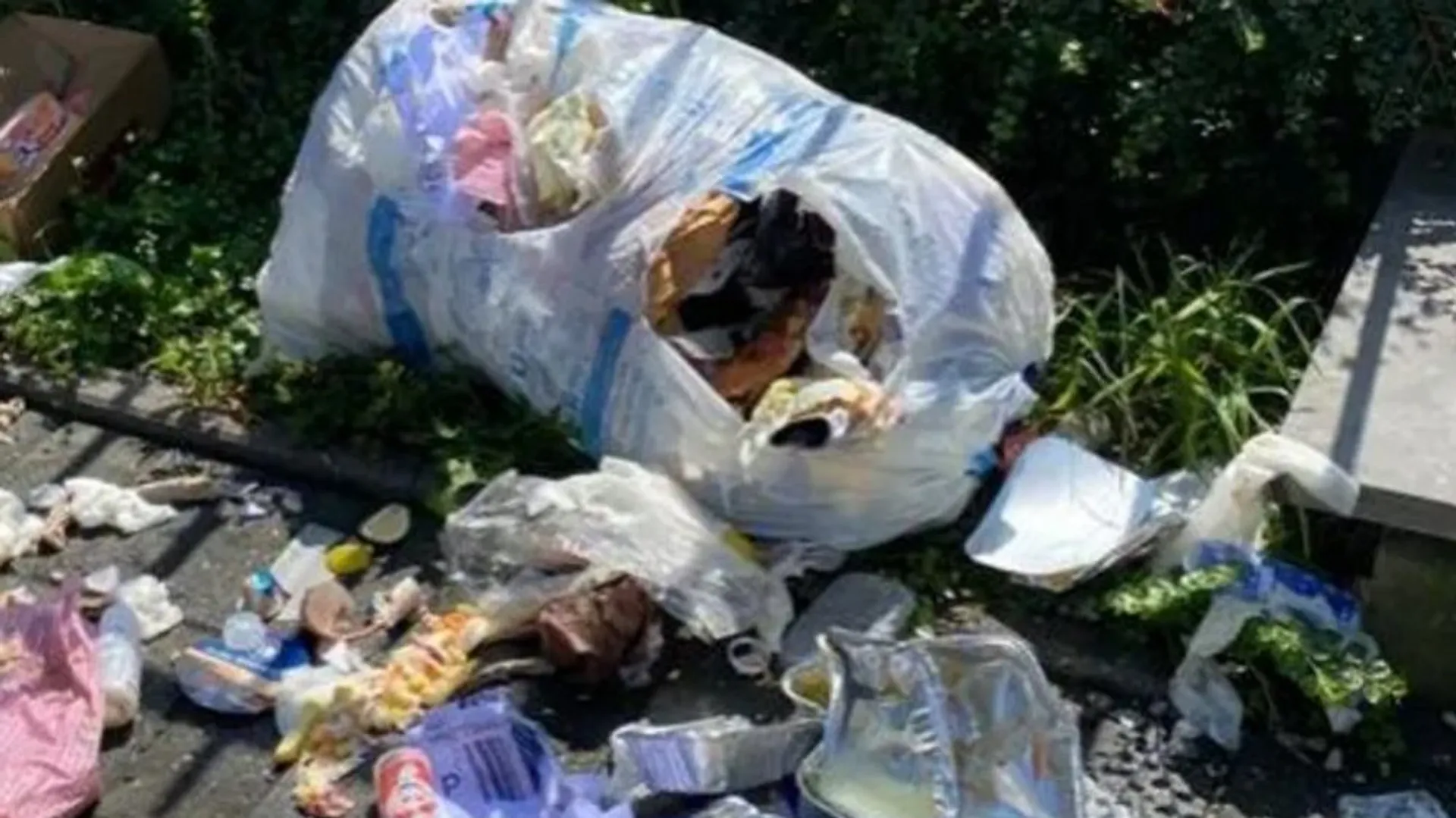 L’expert en cybersécurité Axel Legay, 'Wallon de l’année 2023', a été ...