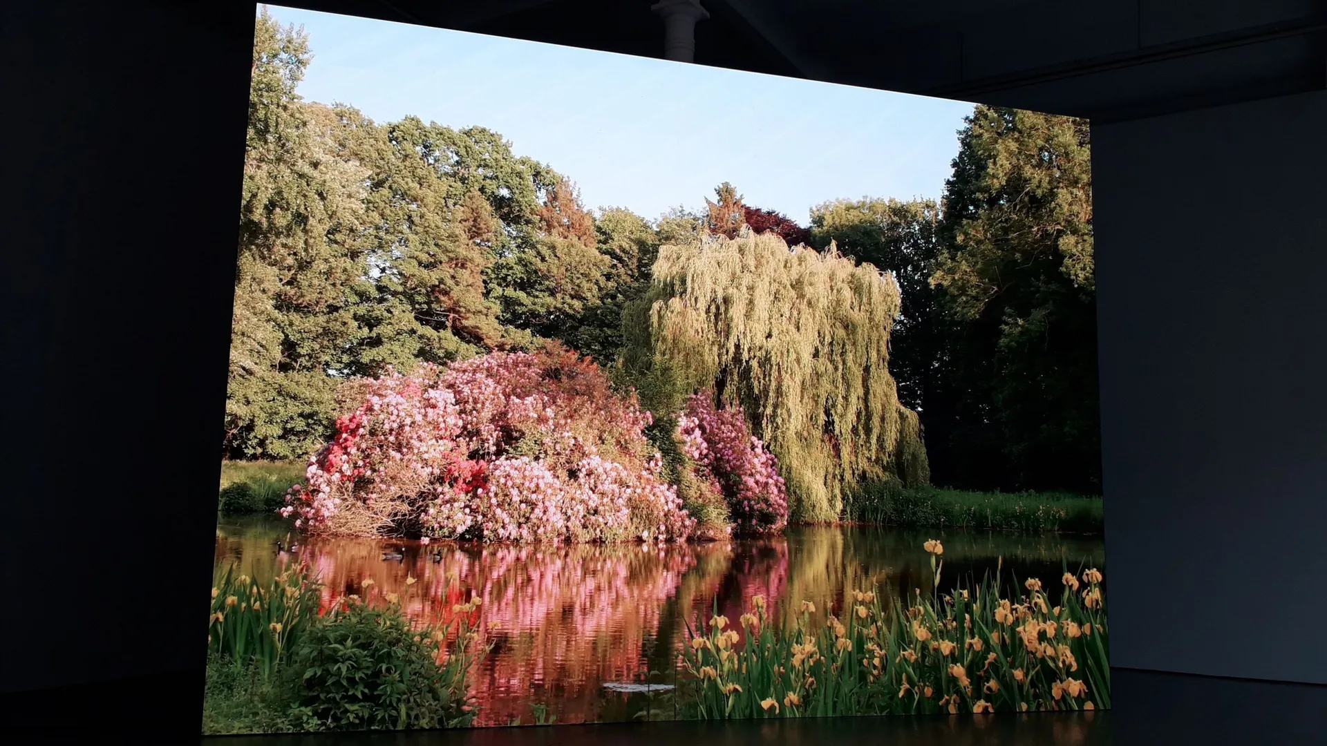 Birdsong, l'exposition de David Claerbout à découvrir à la galerie ...