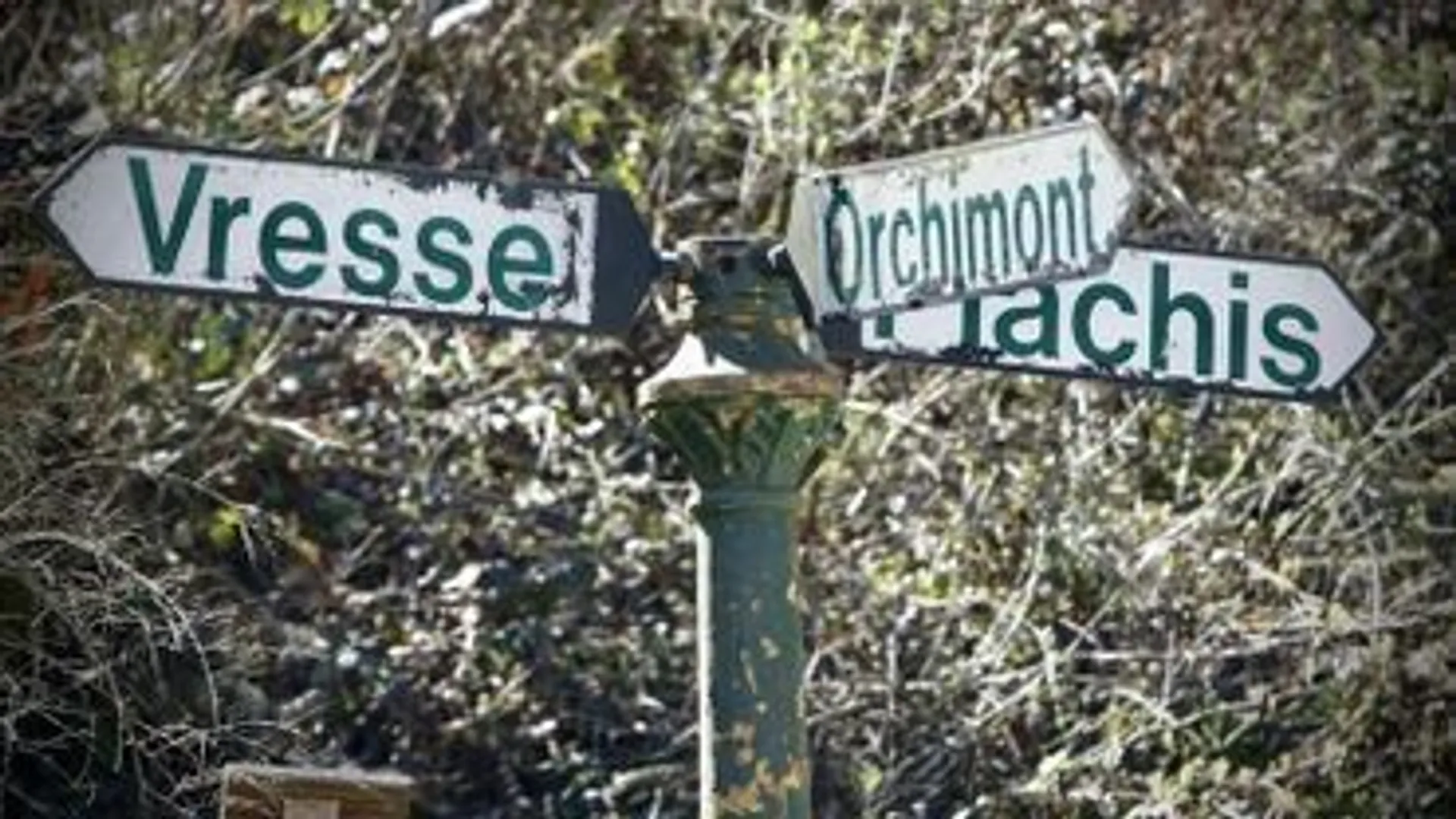 Les 22 marches Adeps du dimanche 22 mars en Wallonie - RTBF Actus