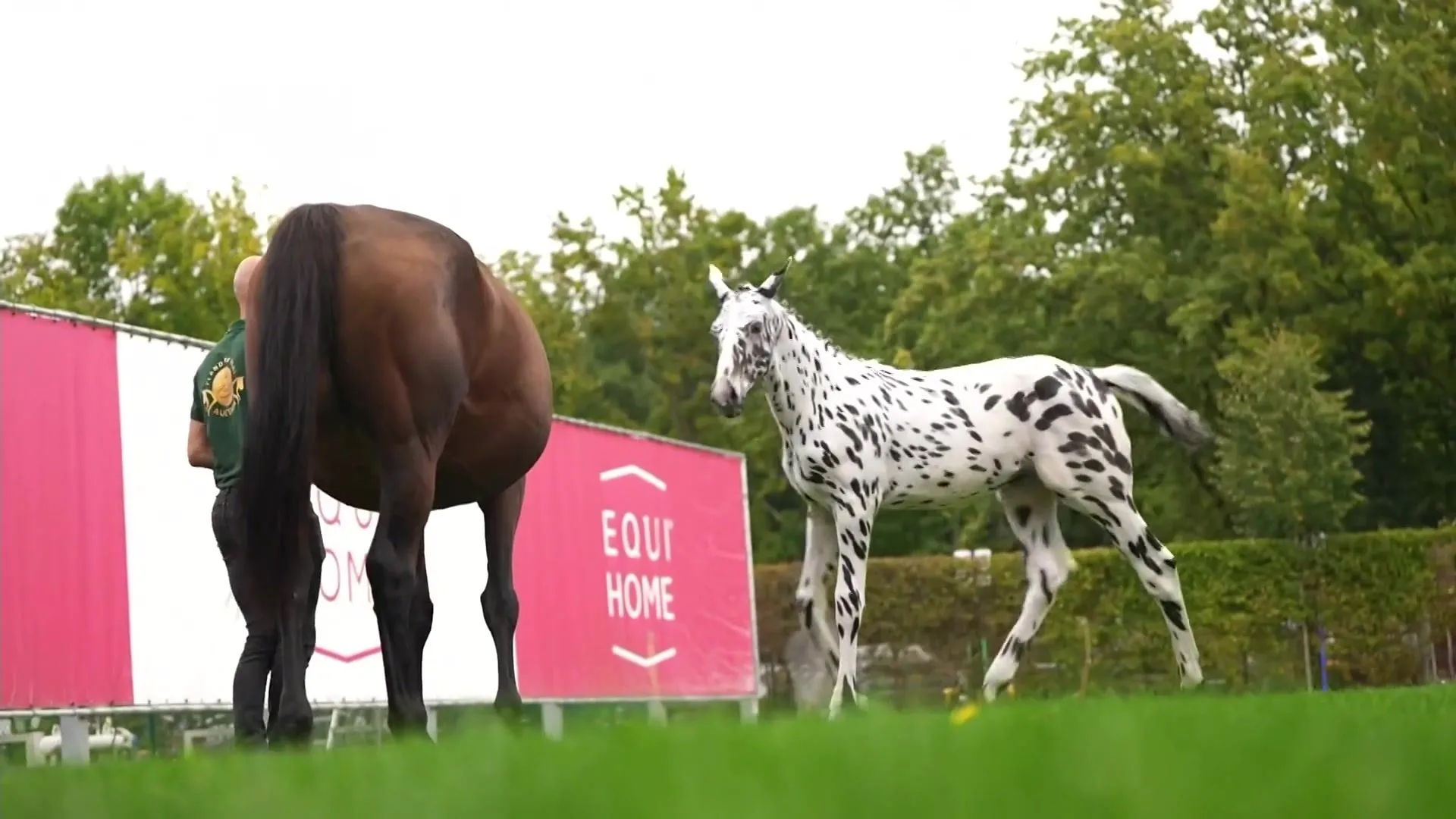 JO Paris 2024 - 'Zut zut zut cette dernière barre' : proches de la ...