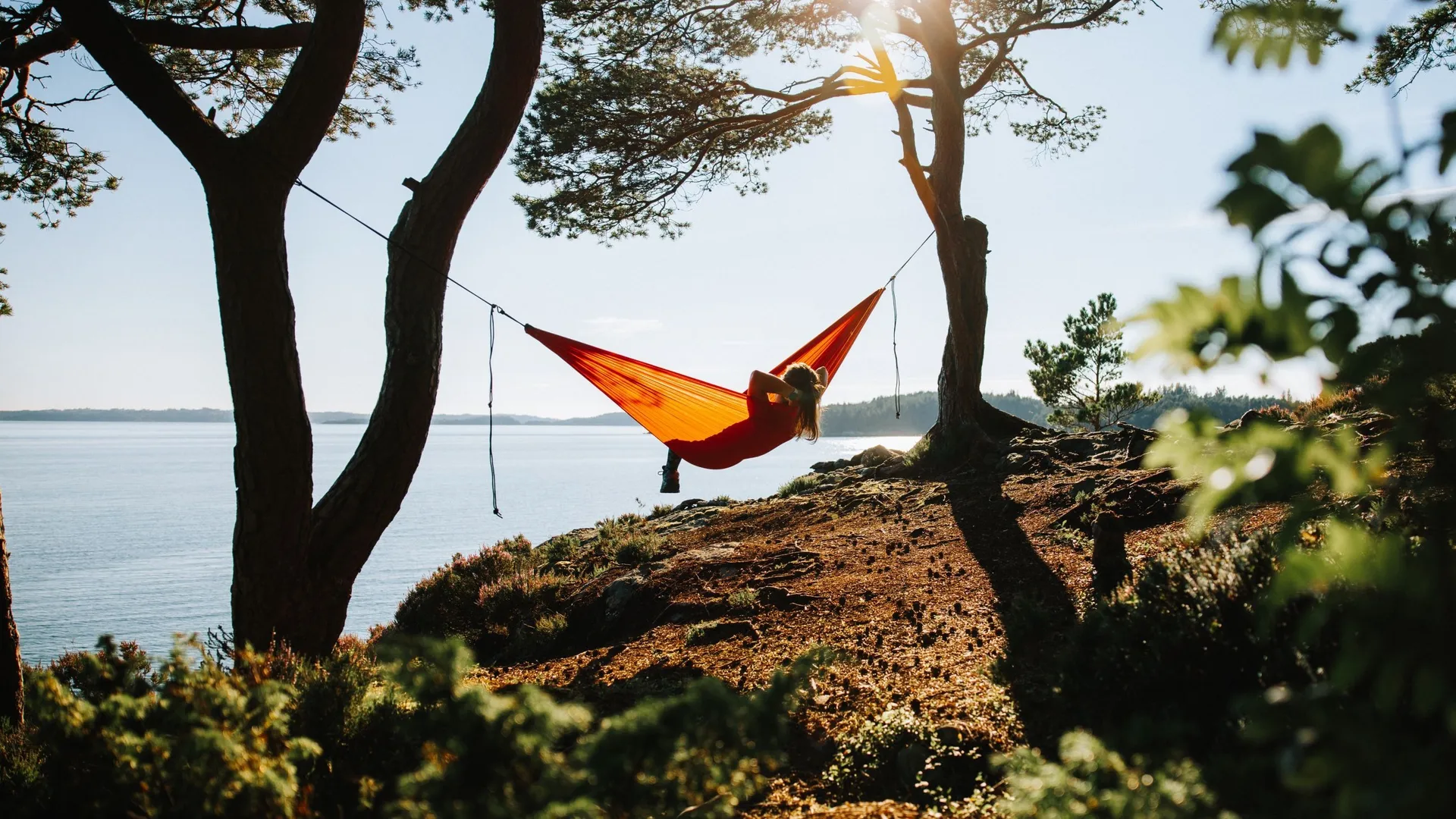 Le top des bonnes nouvelles de la semaine : 5 infos positives pour se ...