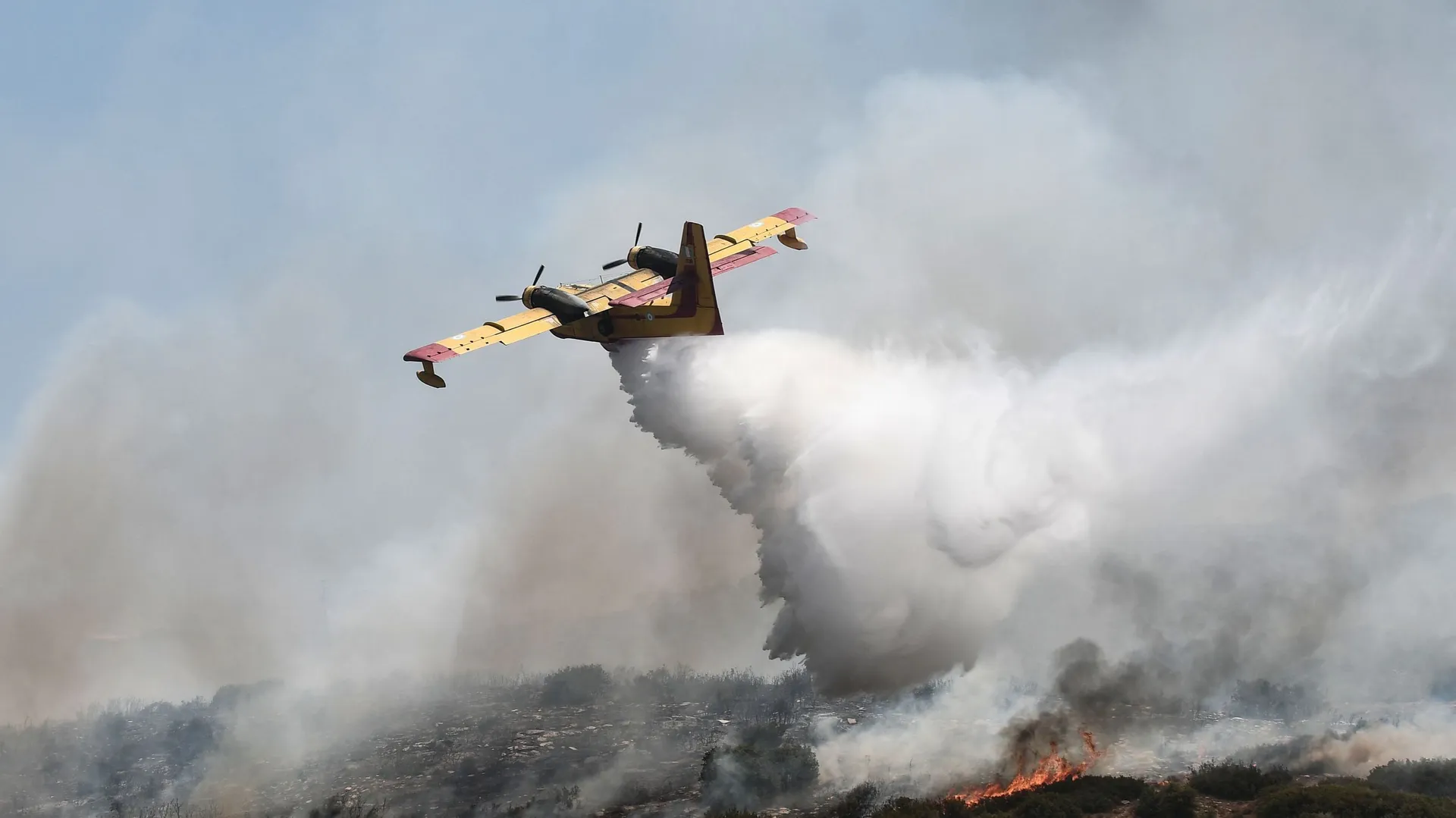 Incendies en Grèce : le difficile retour chez soi quand tout ce qu'on ...