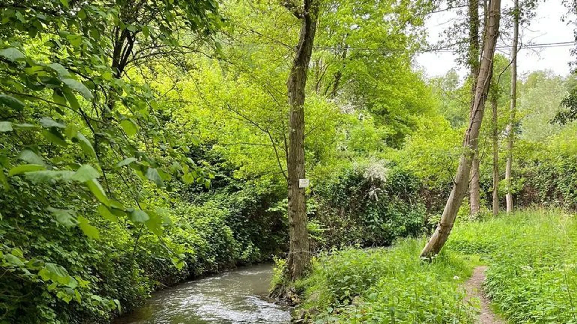 Les 22 marches Adeps du dimanche 24 mai en Wallonie - RTBF Actus