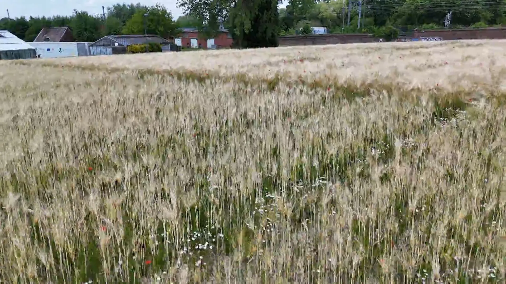 Didier Reynders a-t-il été protégé par sa banque ? Une information ...