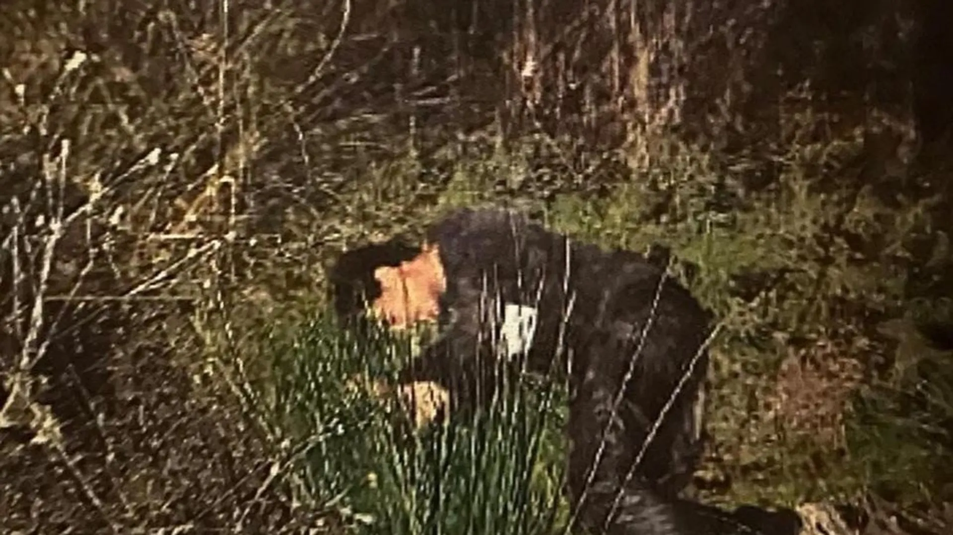 Affaire Sanda Dia : quels sont les faits confirmés par l’enquête, que ...