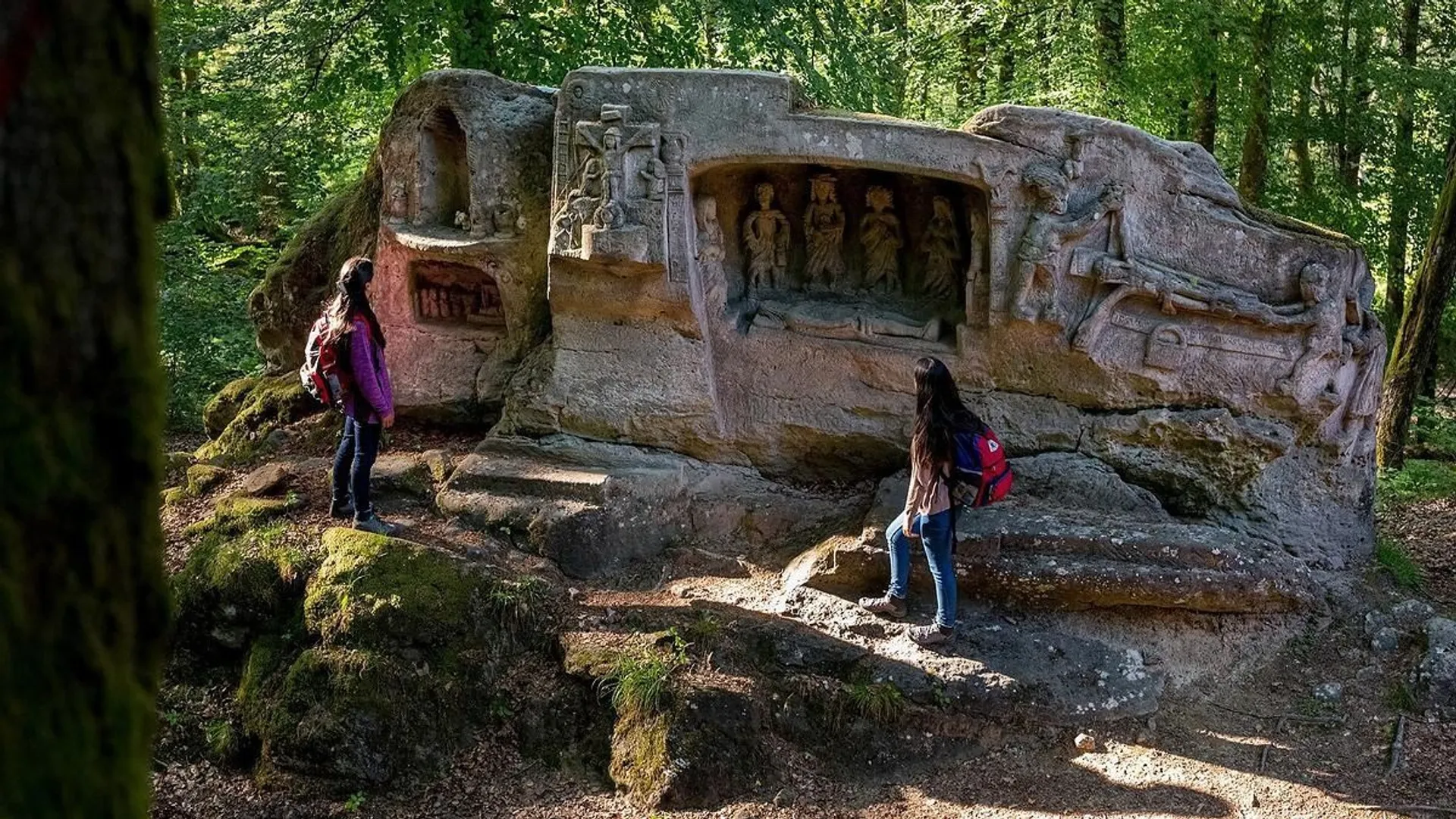 La sylviculture est au beau fixe, l'exemple de la forêt de Darney ...