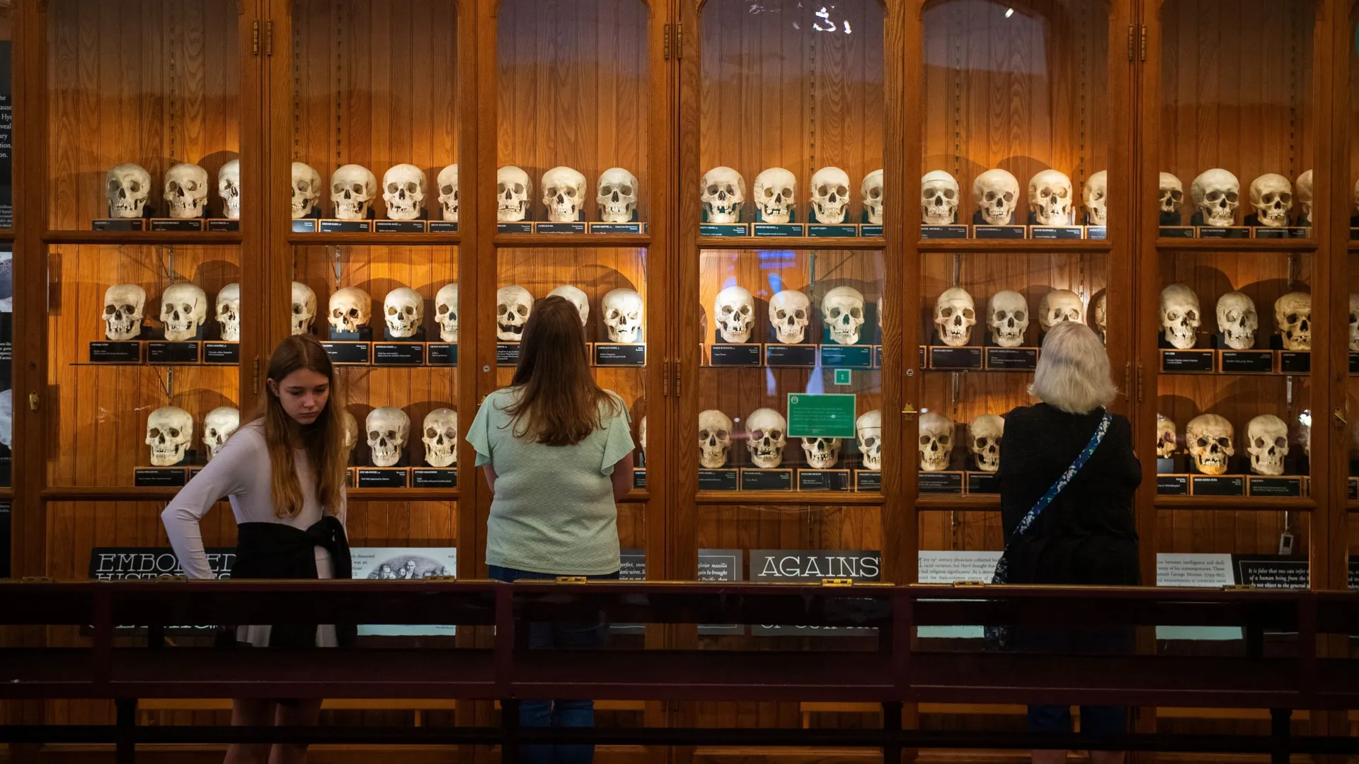 Comment exposer des restes humains ? Un musée de la médecine au cœur d ...