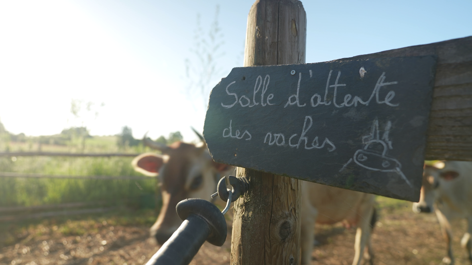 Foire de Libramont : et si les coopératives traçaient les lignes d’un ...