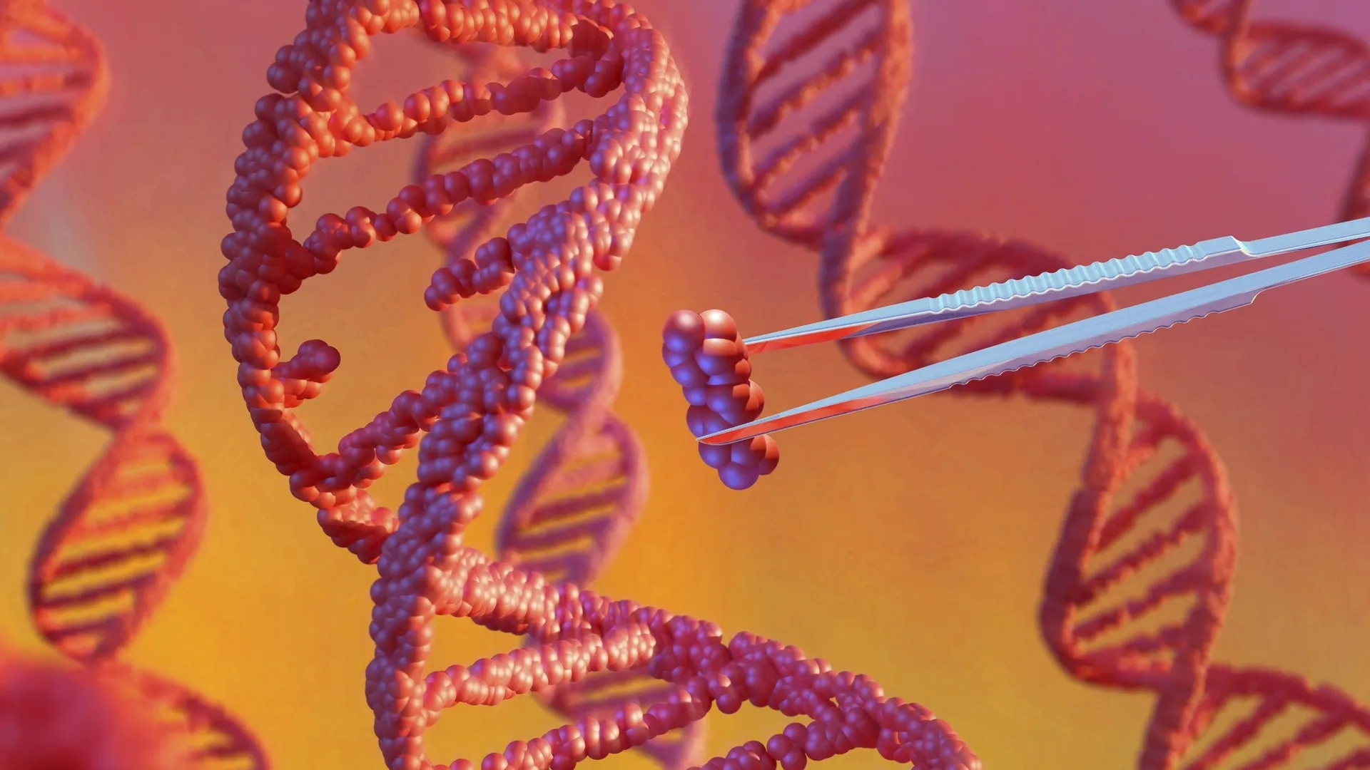 Éditer le génome pour soigner : où en sont les thérapies issues de ...