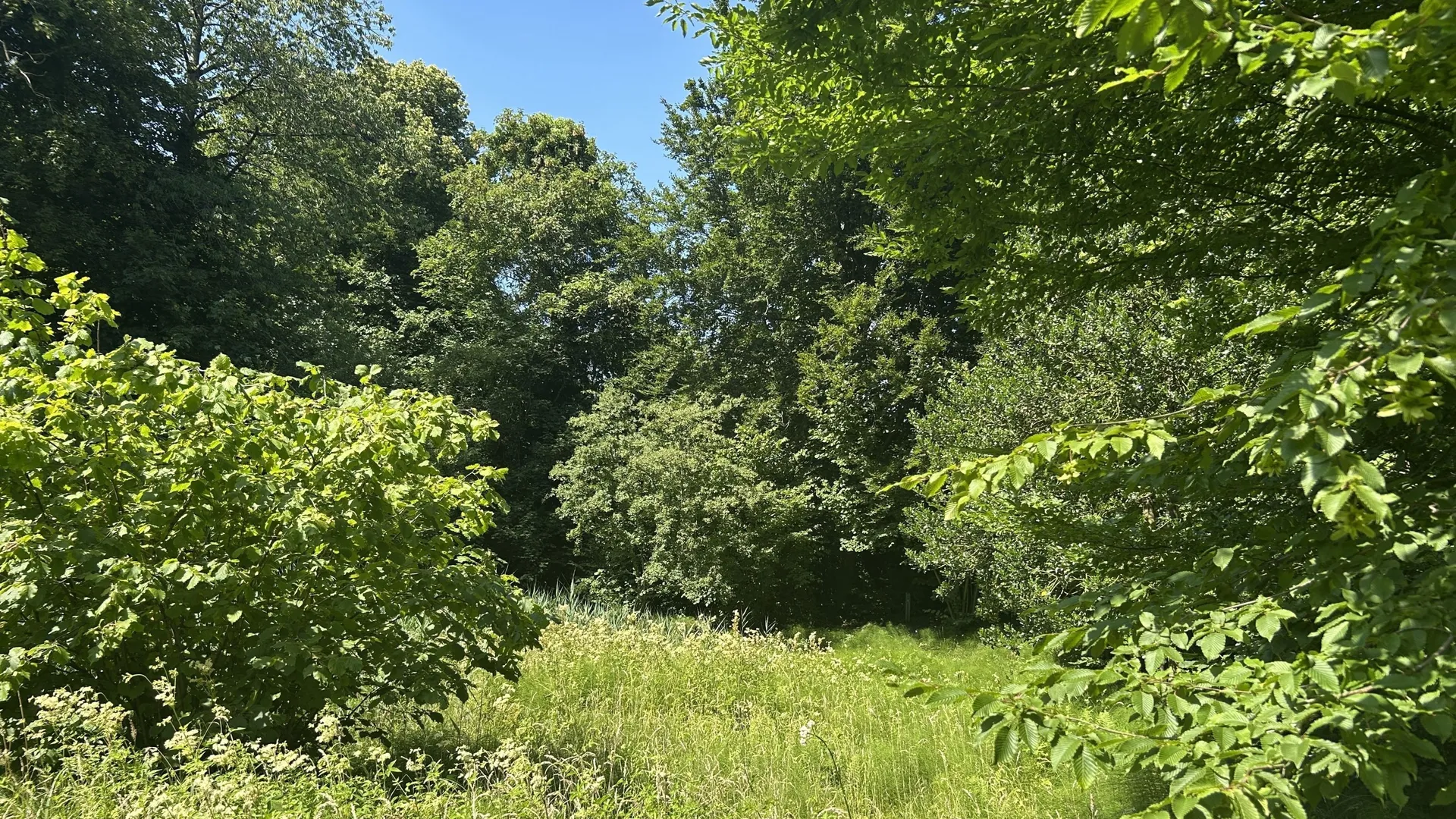 Le château de Freÿr un joyau familial au cœur du patrimoine belge ...