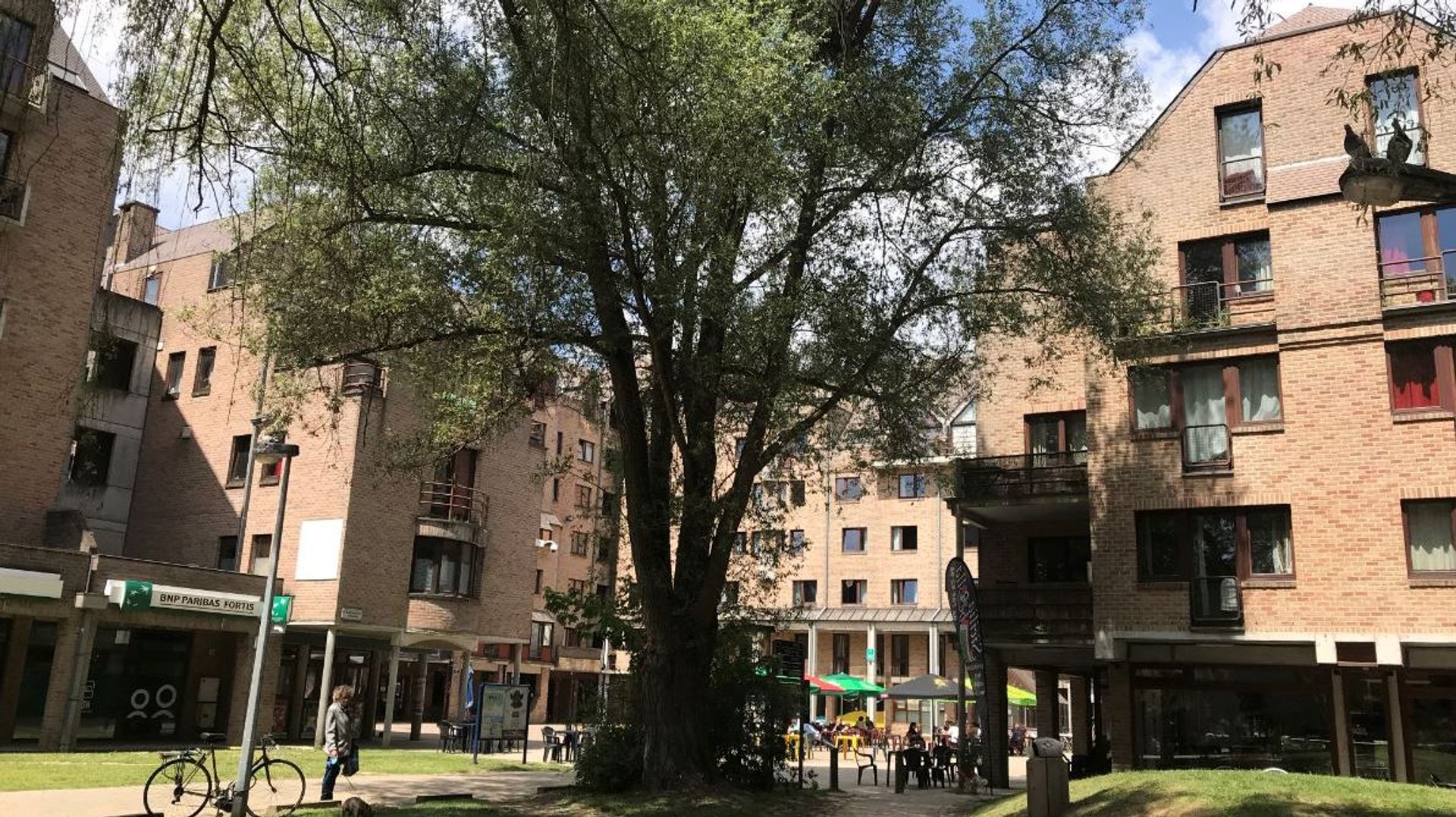 Les dessous du campus d’Alma et de 'La Mémé' à découvrir à travers ...