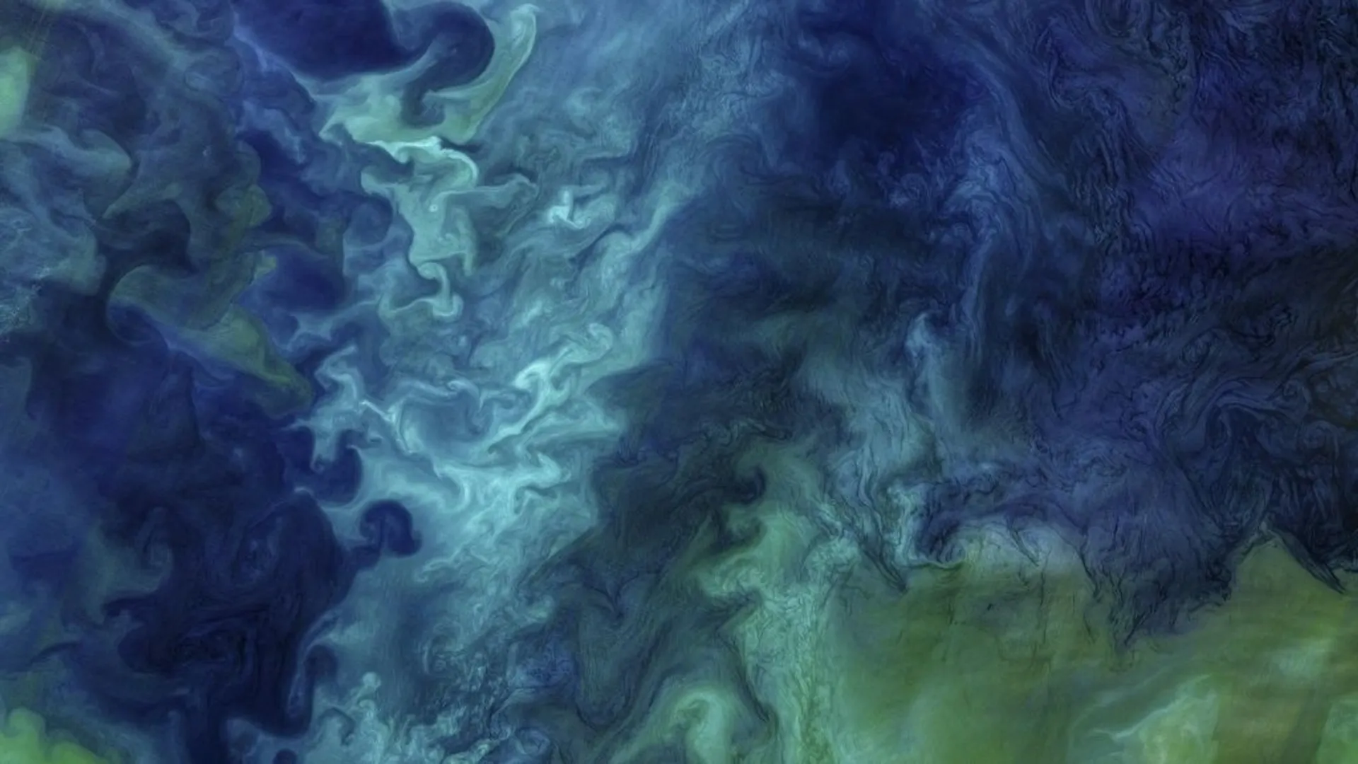 Le plancton peut agir sur le climat, faire évoluer les sciences et ...