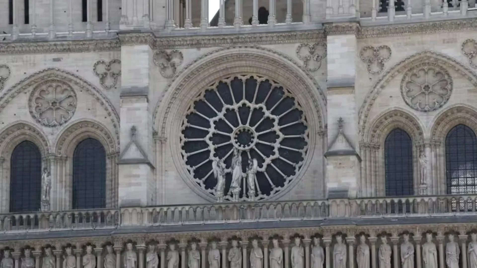 Evanna Lynch, alias Luna Lovegood dans Harry Potter, sera au FACTS de ...