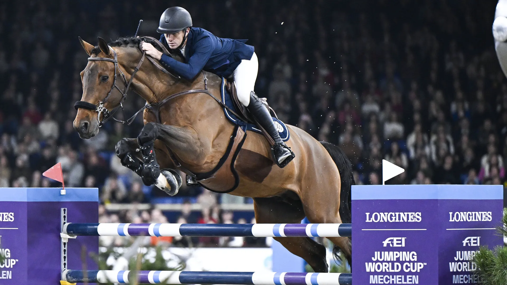 Championnats d’Europe de jumping : Gilles Thomas remporte la médaille ...