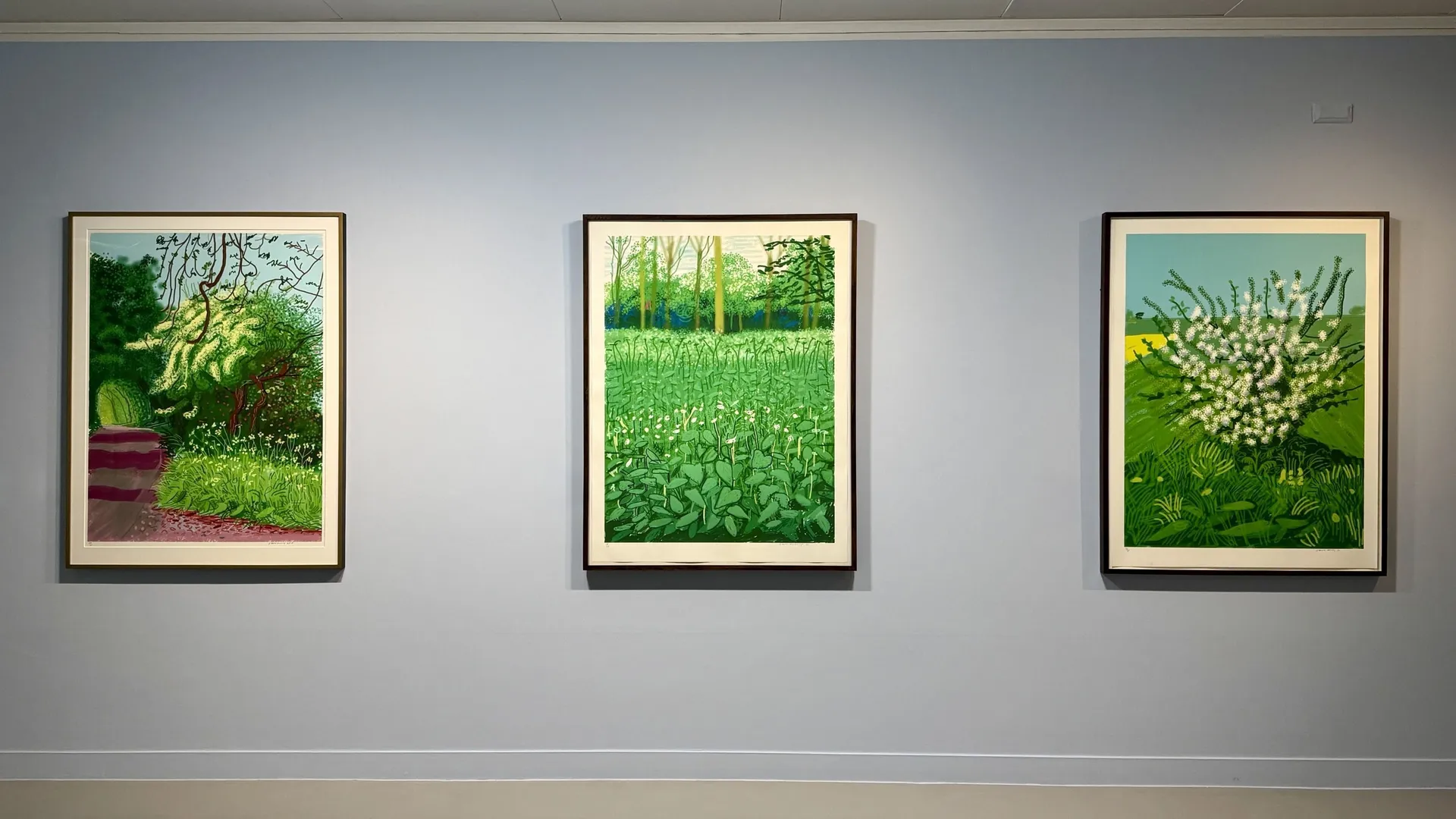 Mons : une exposition événement sur David Hockney, célèbre peintre ...
