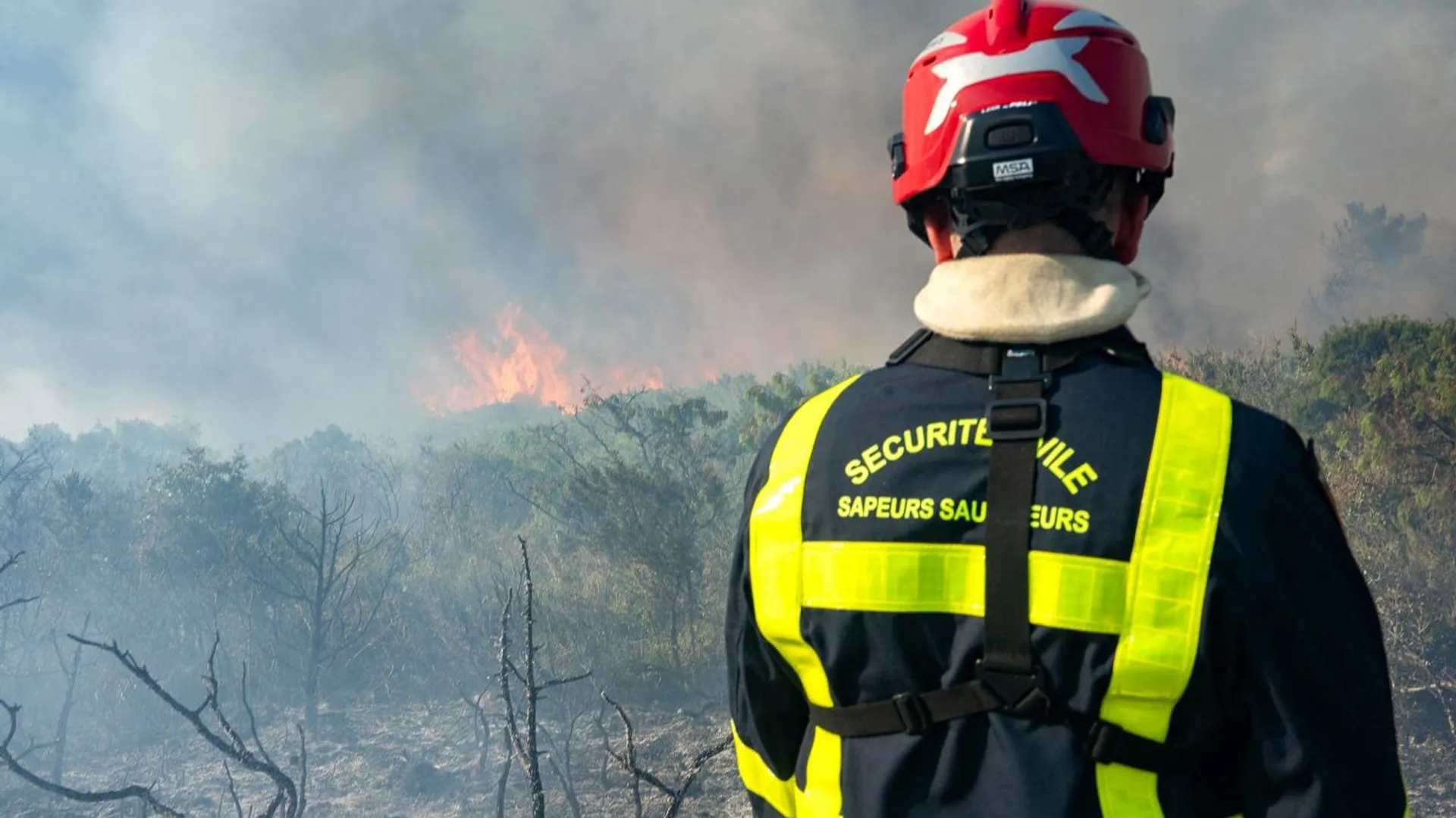 Grèce : près de 5000 personnes évacuées en raison d’un incendie en ...
