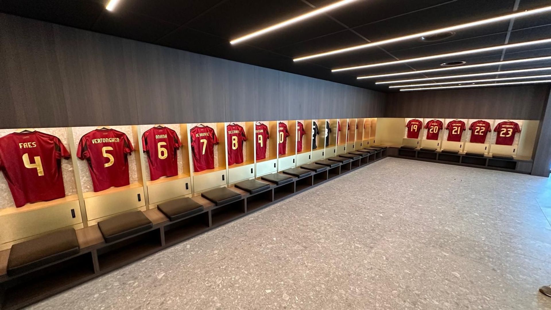 'Rien d'insensé', mais du changement chez les Diables face à la Serbie ...