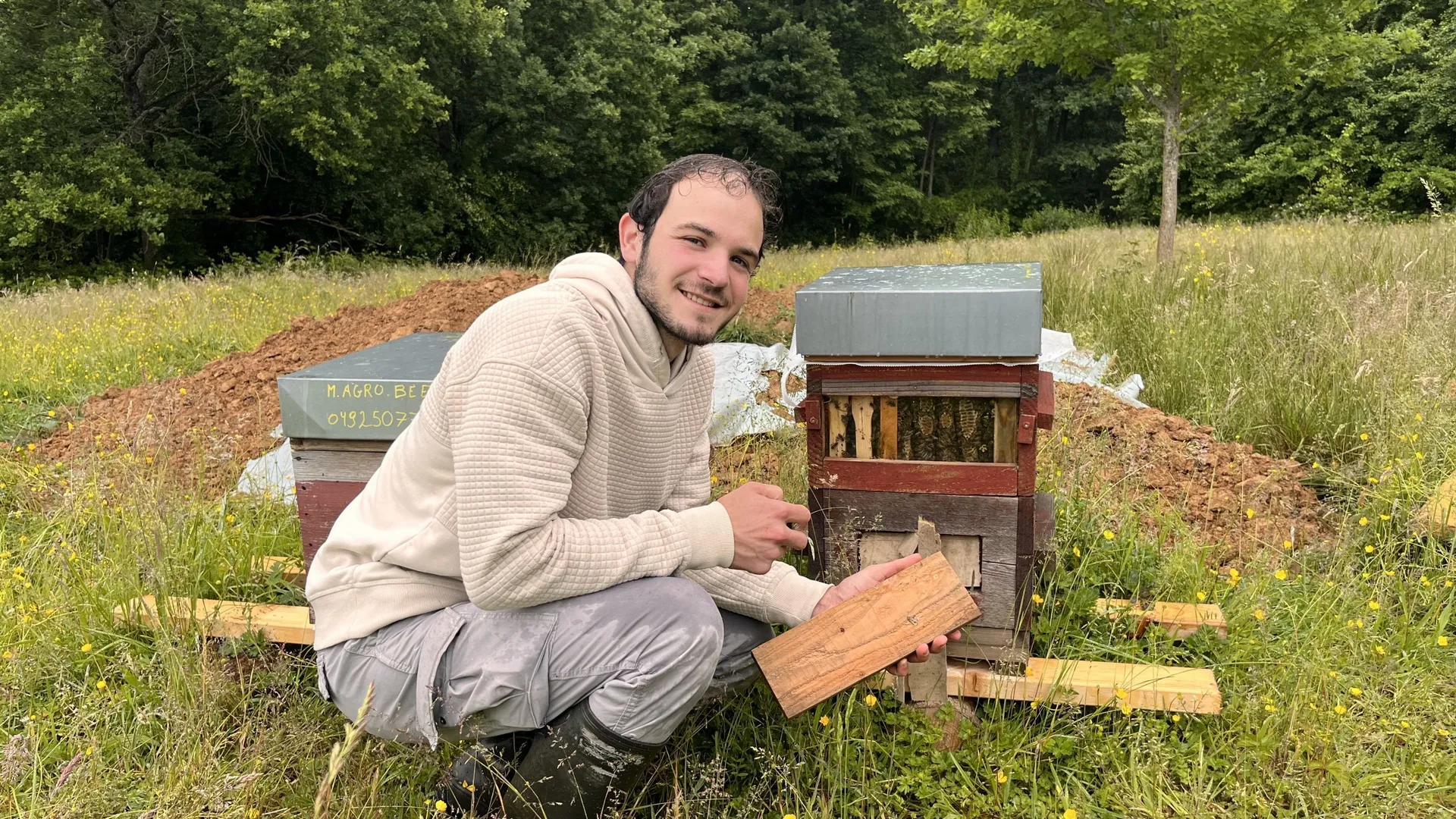 Abeilles : le miel des villes est réputé mais pas question de placer ...