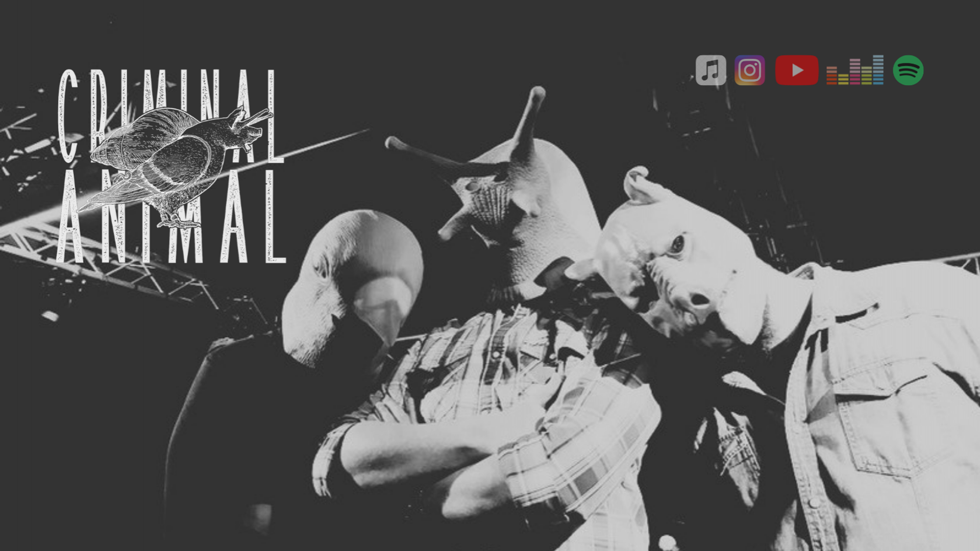 Génération 21 : Criminal Animal - RTBF Actus