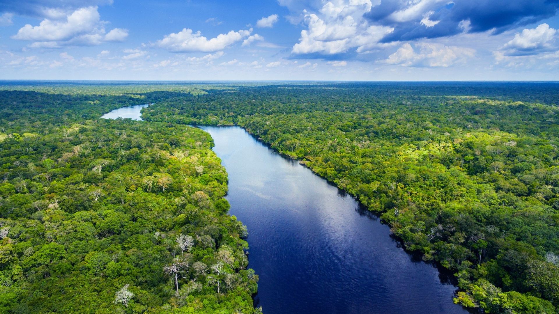 La forêt amazonienne pourrait franchir 'un point de rupture' d'ici 2050 ...