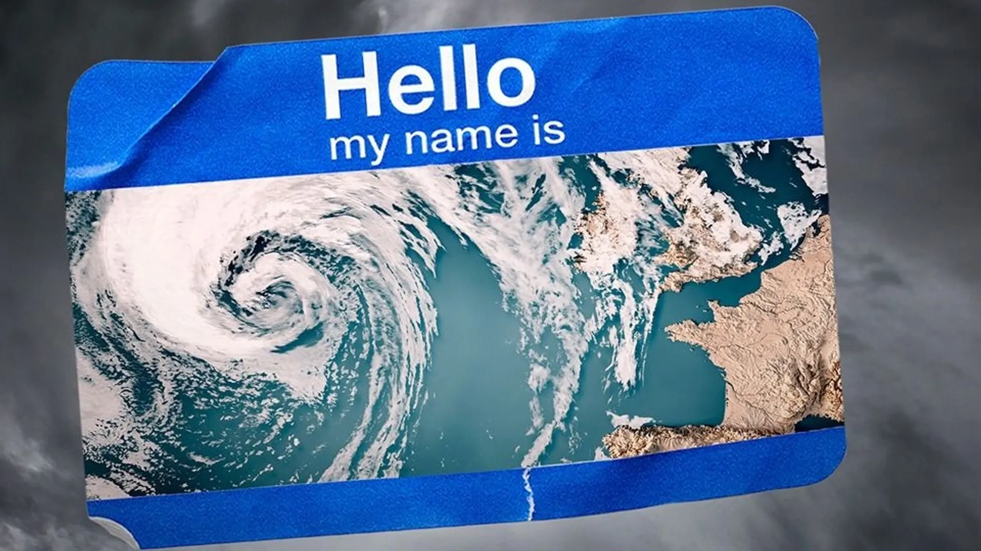 Revenge Fort : un remake d’une dégustation à la Willy Rovelli pour ...