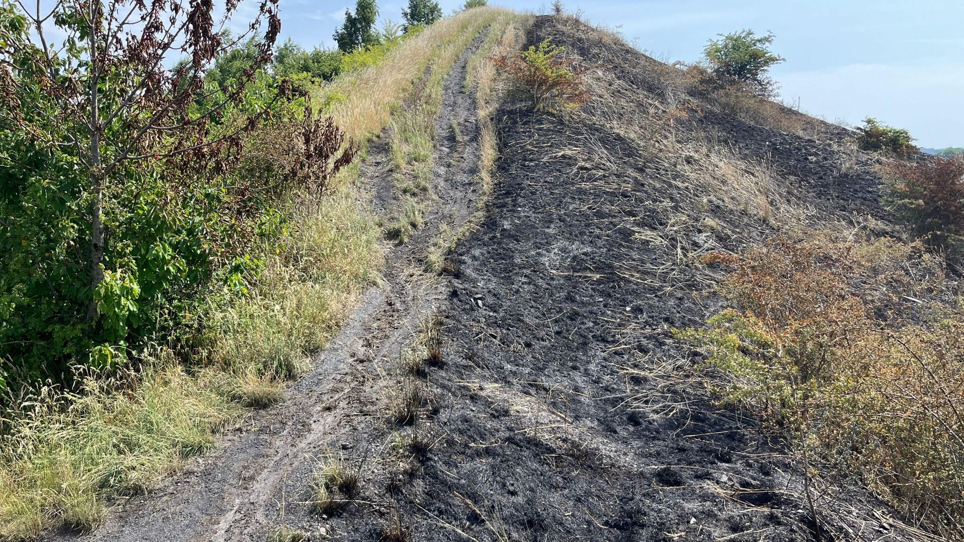 Catastrophe du Bois du Cazier : la cloche a retenti 262 fois ce ...