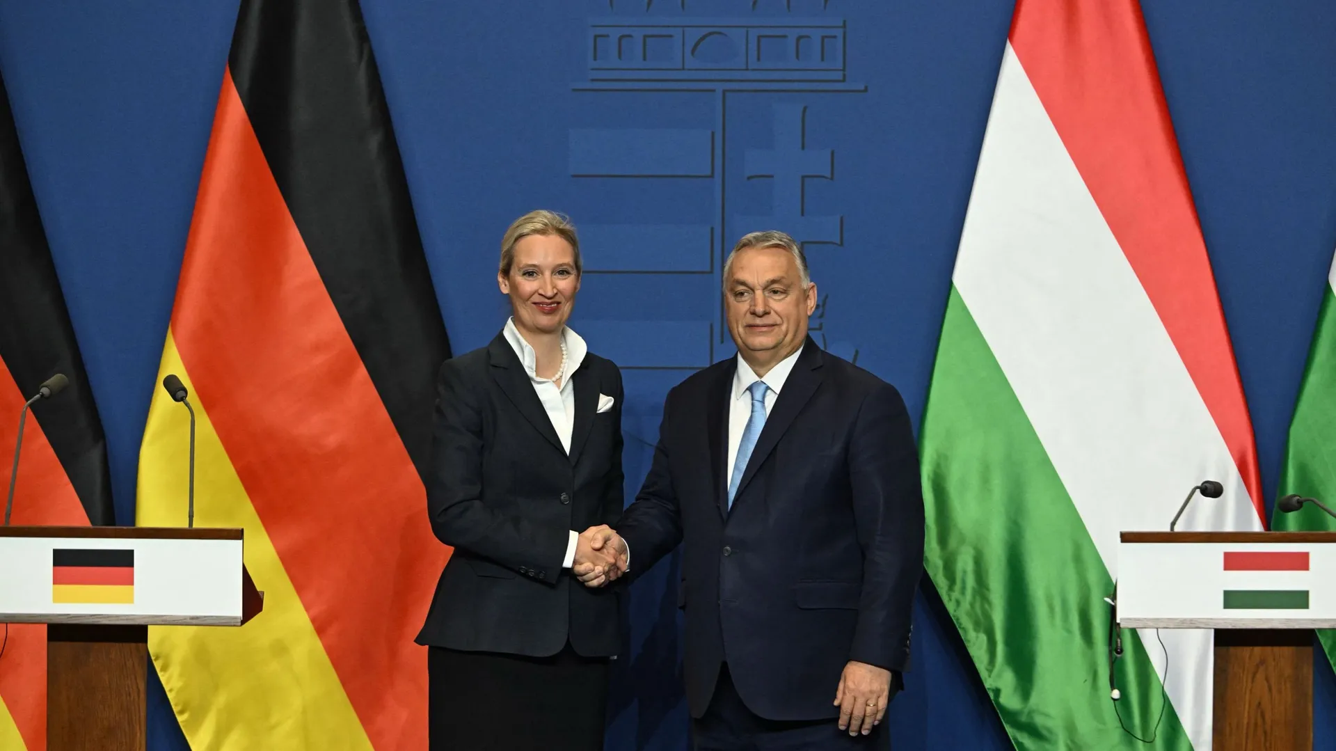 Qui est Alice Weidel, la présidente de l'AfD et visage de l’extrême droite allemande ? - RTBF Actus