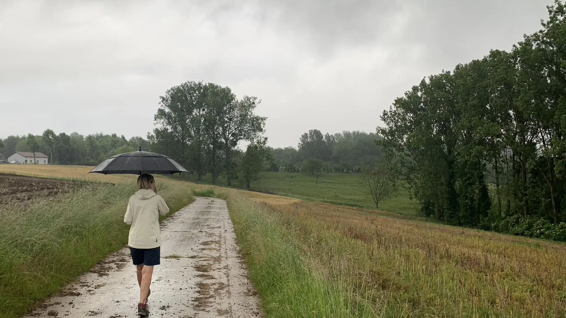 Météo en Belgique : nuages, faible pluie et vent seront au programme de ...