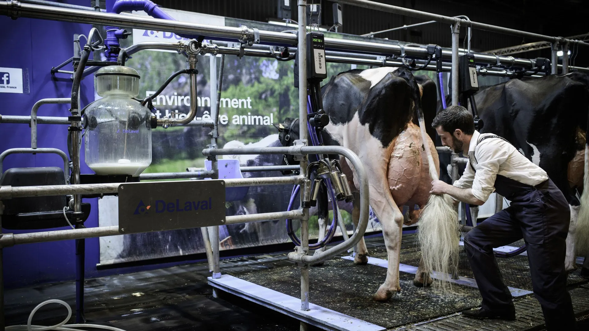 Le lait bio 100% belge Biomilk.be arrive dans les Delhaize - RTBF Actus