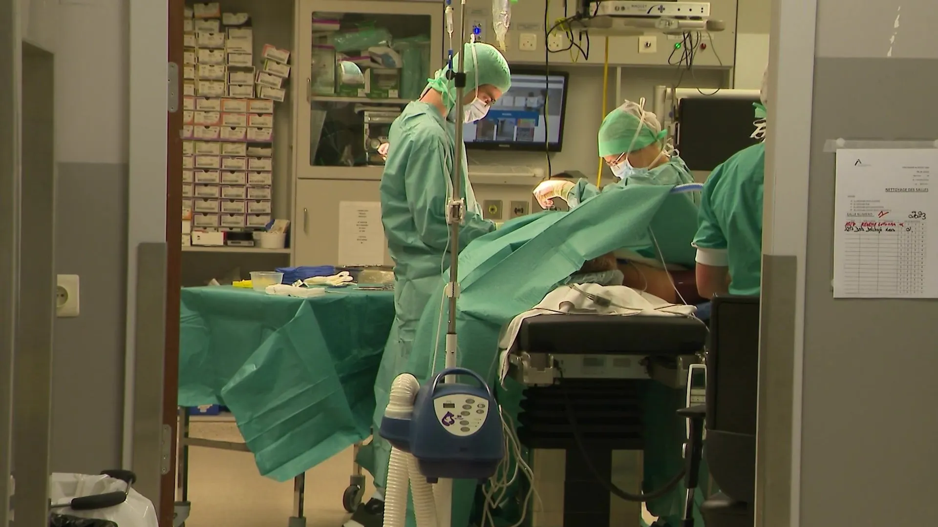 Le roi Philippe répond aux questions que les citoyens lui ont adressées ...