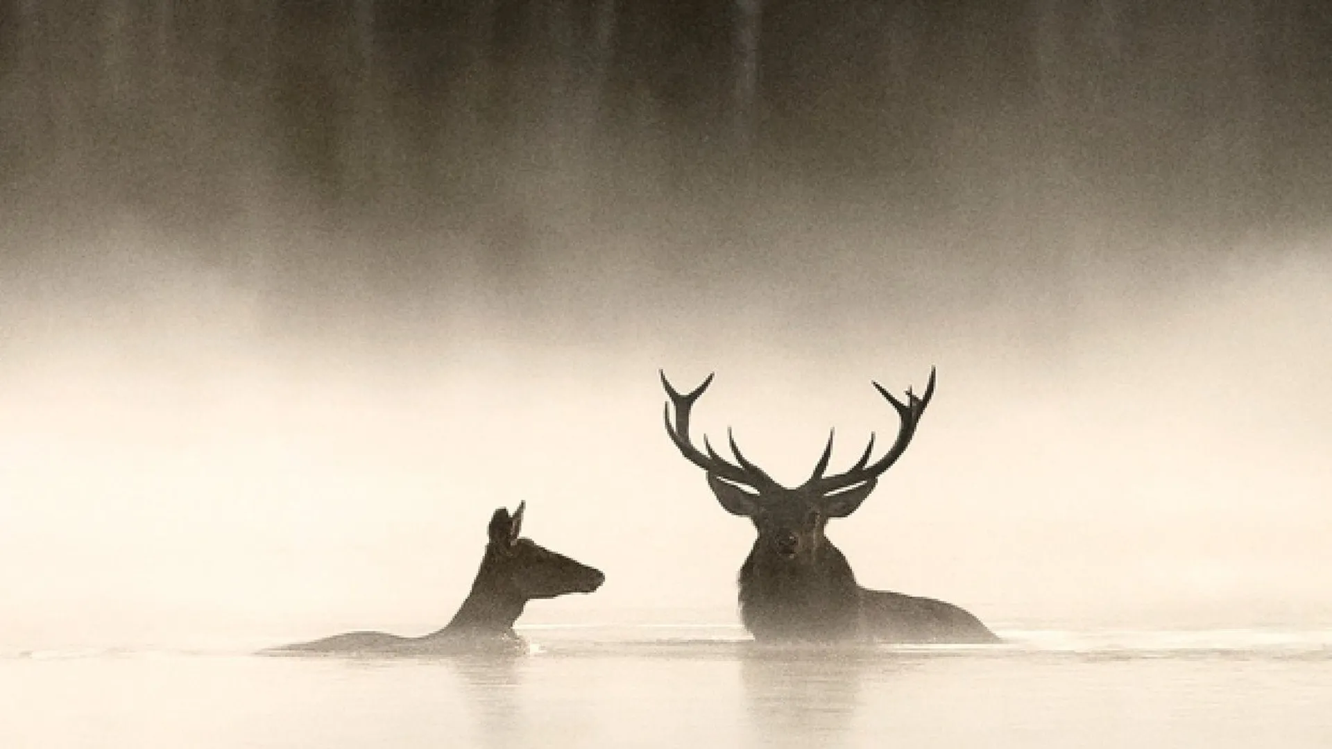 'Un jour sans fin' : entre comique de répétition et comédie ...