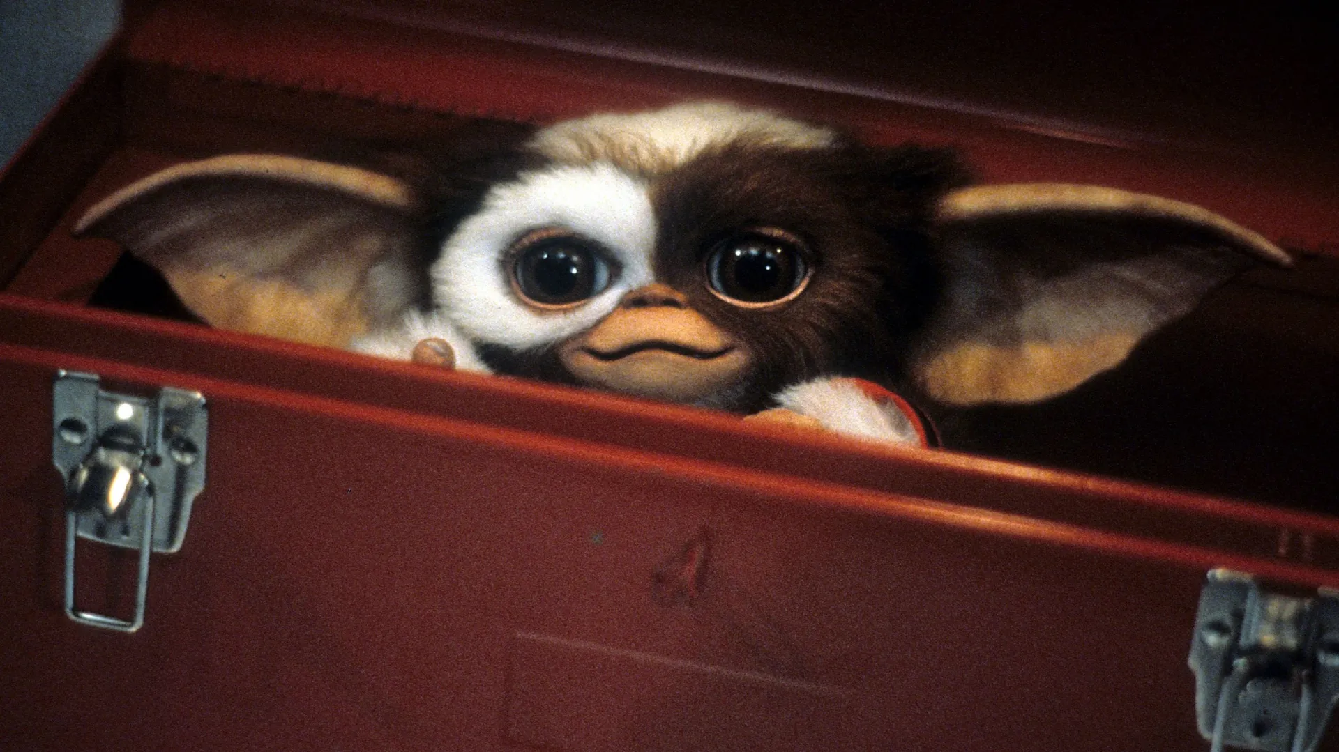 Les Gremlins reviennent pour un troisième film produit par Steven ...