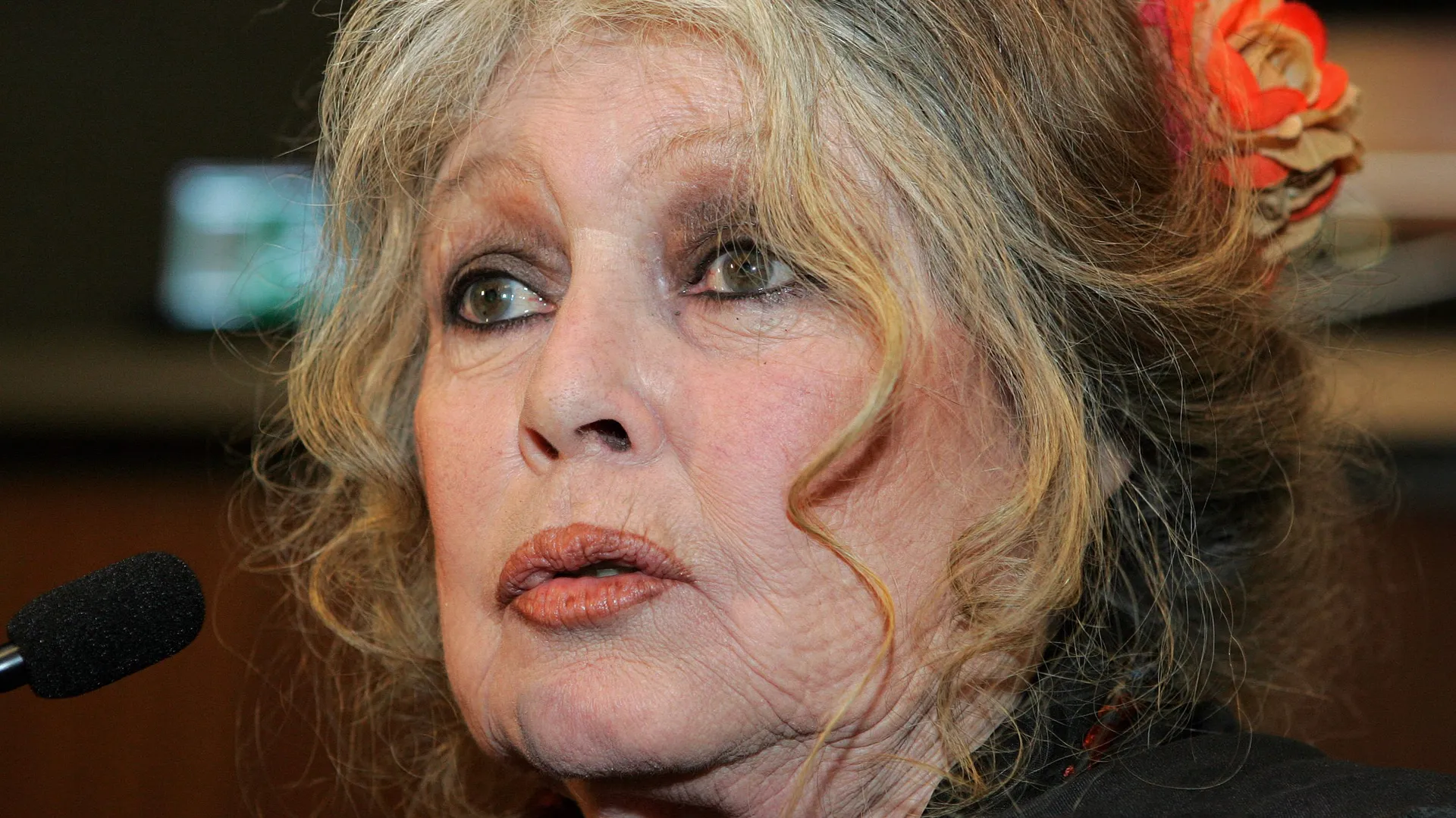 Brigitte Bardot propose de prendre la place de Paul Watson en prison ...