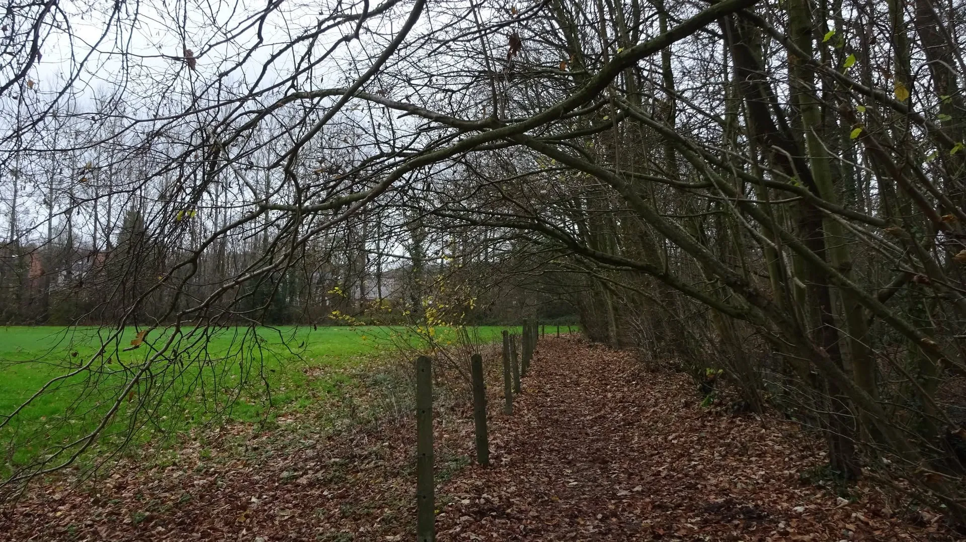 Les 12 marches Adeps du dimanche 18 janvier en Wallonie - RTBF Actus