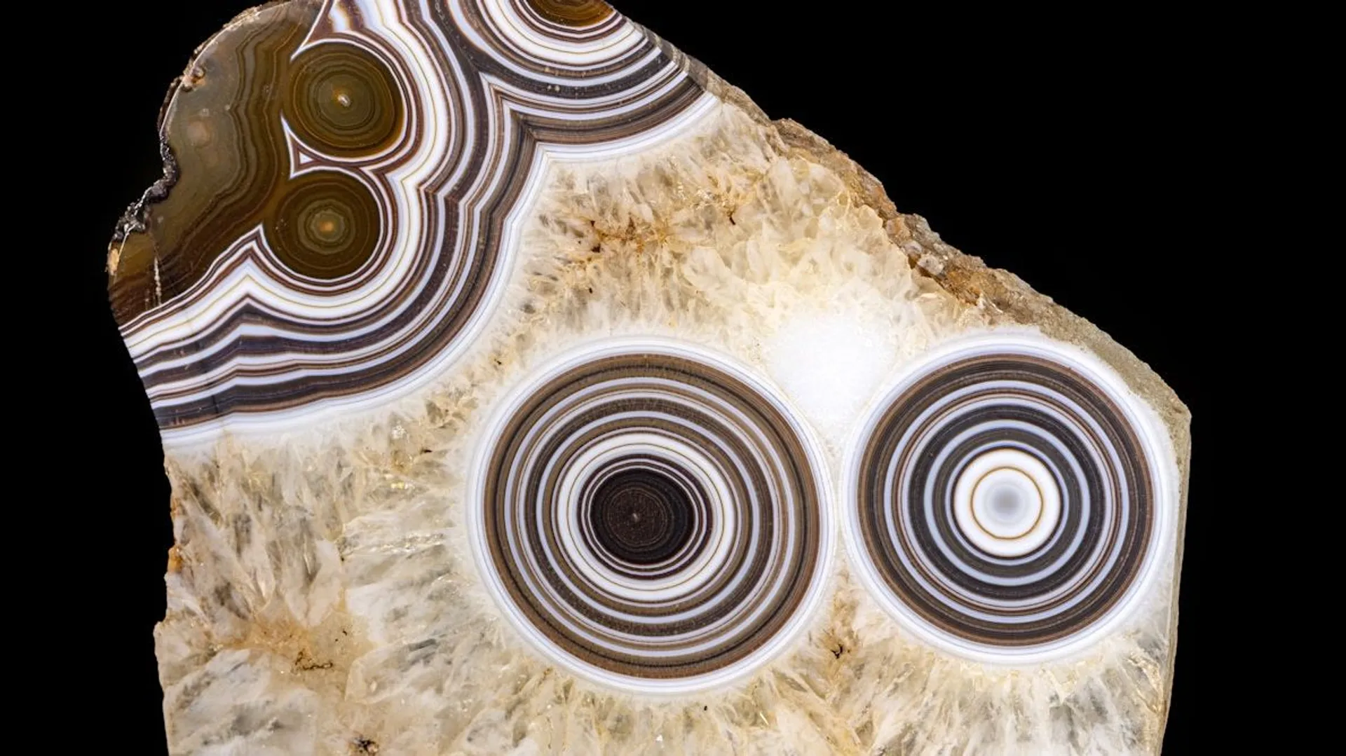 Balzac, 175 ans après sa mort : derrière le mythe, l’homme aux mille ...