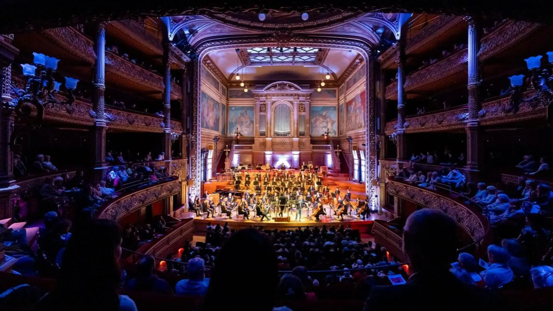 Journée internationale de la danse : qui sont les 'petits rats de l ...