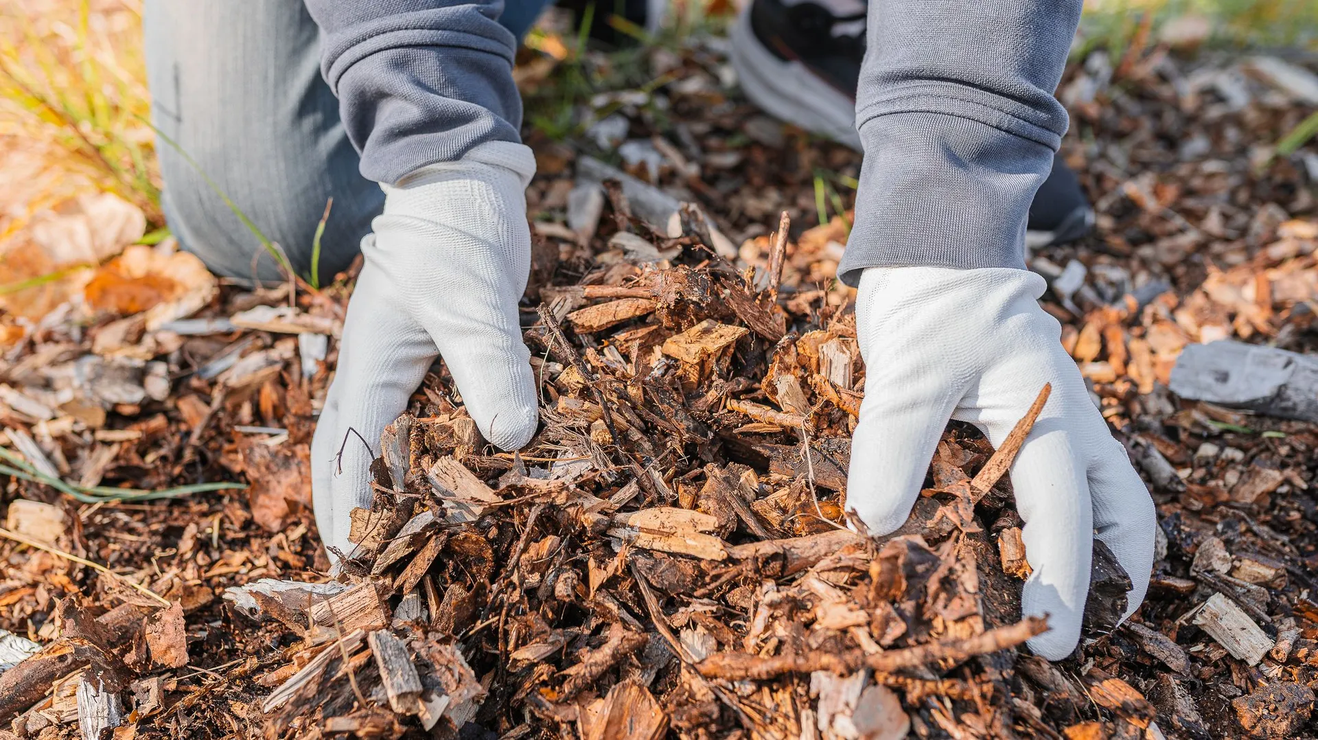 Amender son sol : le secret d’un jardin en pleine santé - RTBF Actus