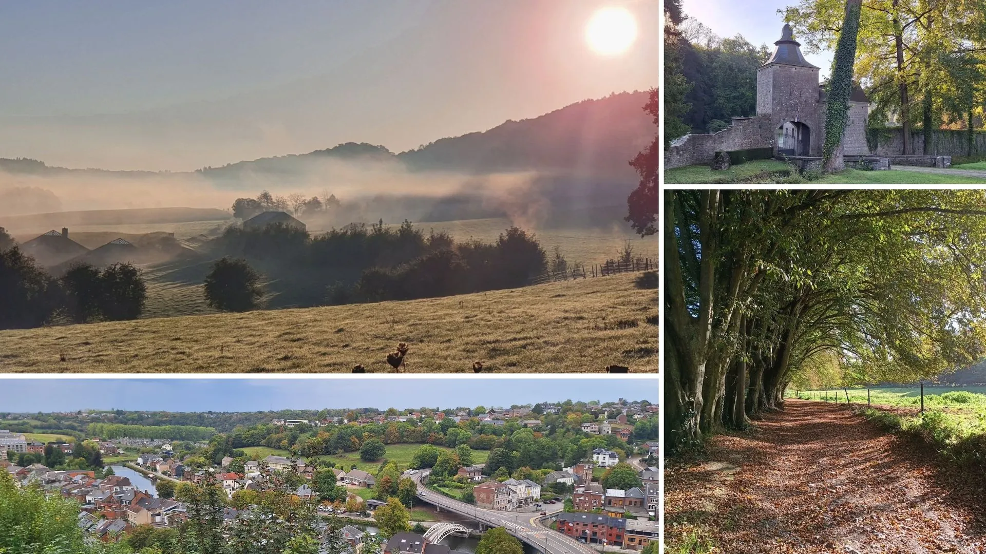 Les 21 marches Adeps du dimanche 28 septembre en Wallonie - RTBF Actus