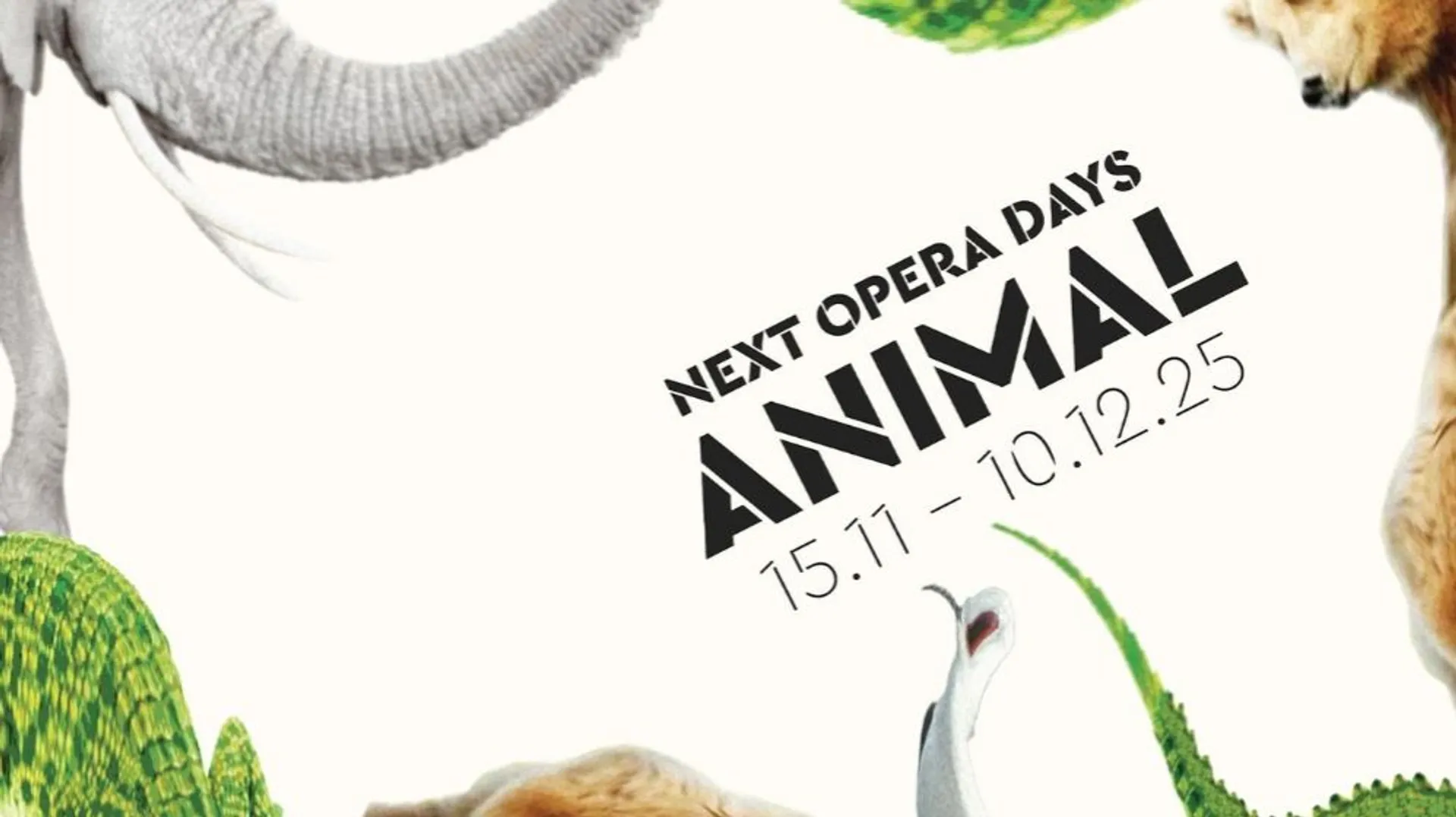 'Animal', la 2e édition des Next Opera Days 'questionne les contours de ...