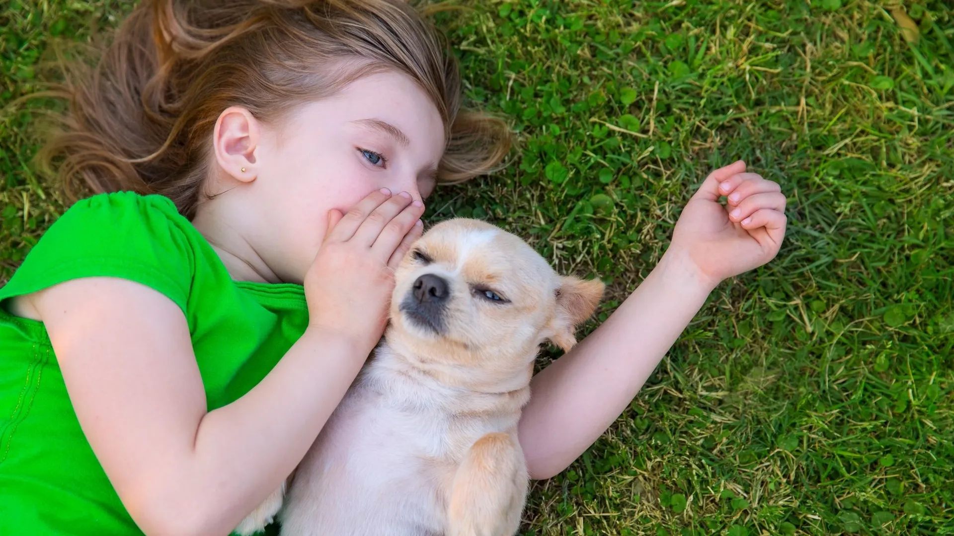 Les poissons rouges ont-ils vraiment une si mauvaise mémoire ? - RTBF Actus