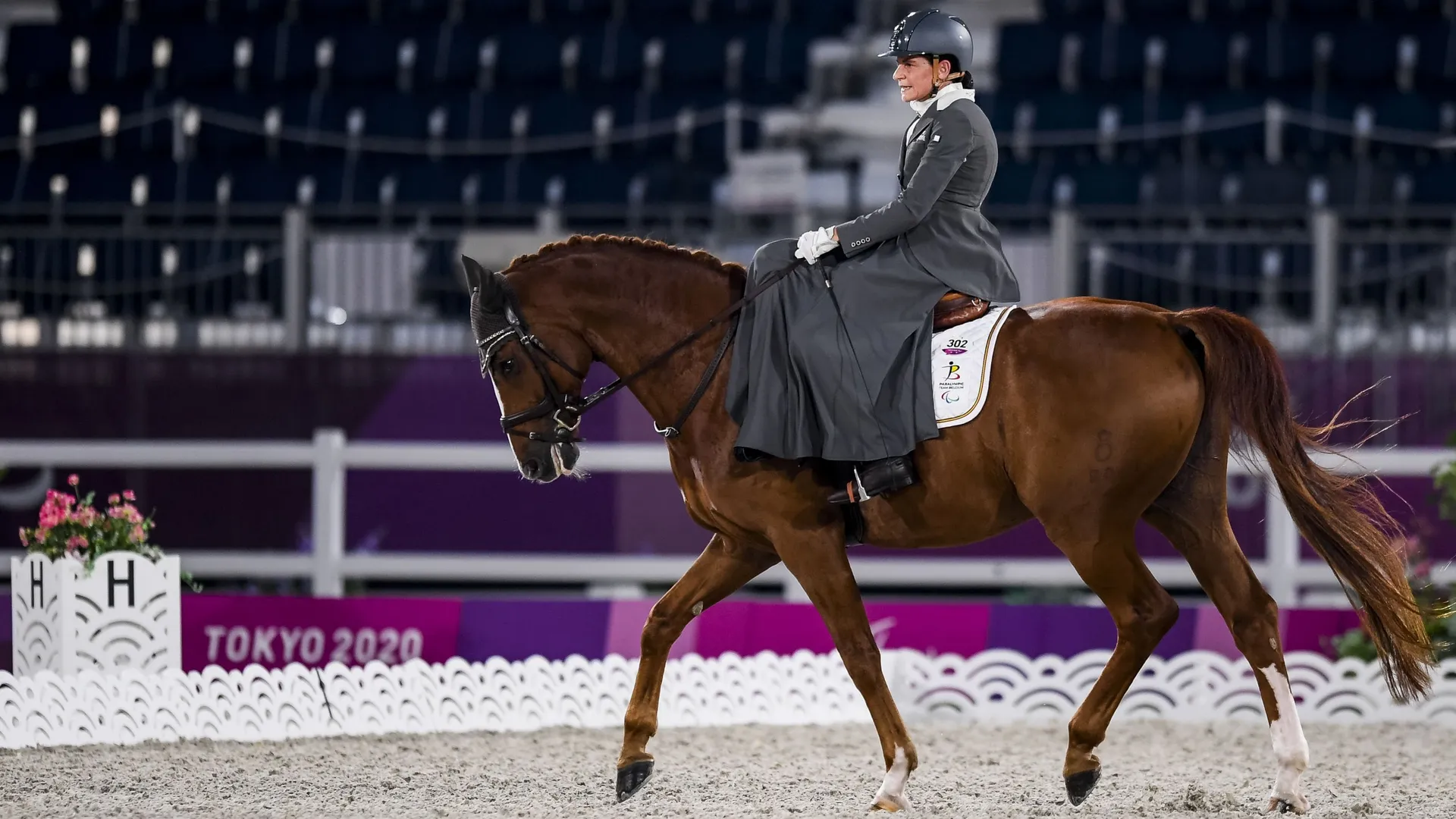 Jeux Paralympiques – Équitation : la Belgique 5e du concours par équipe ...
