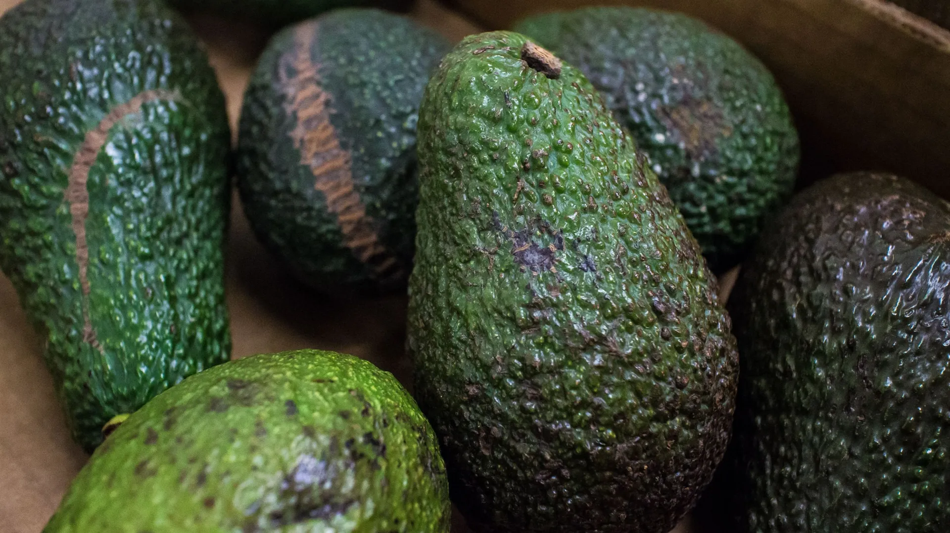 Colruyt sort du BEL20 : la capitalisation boursière s’essouffle alors ...