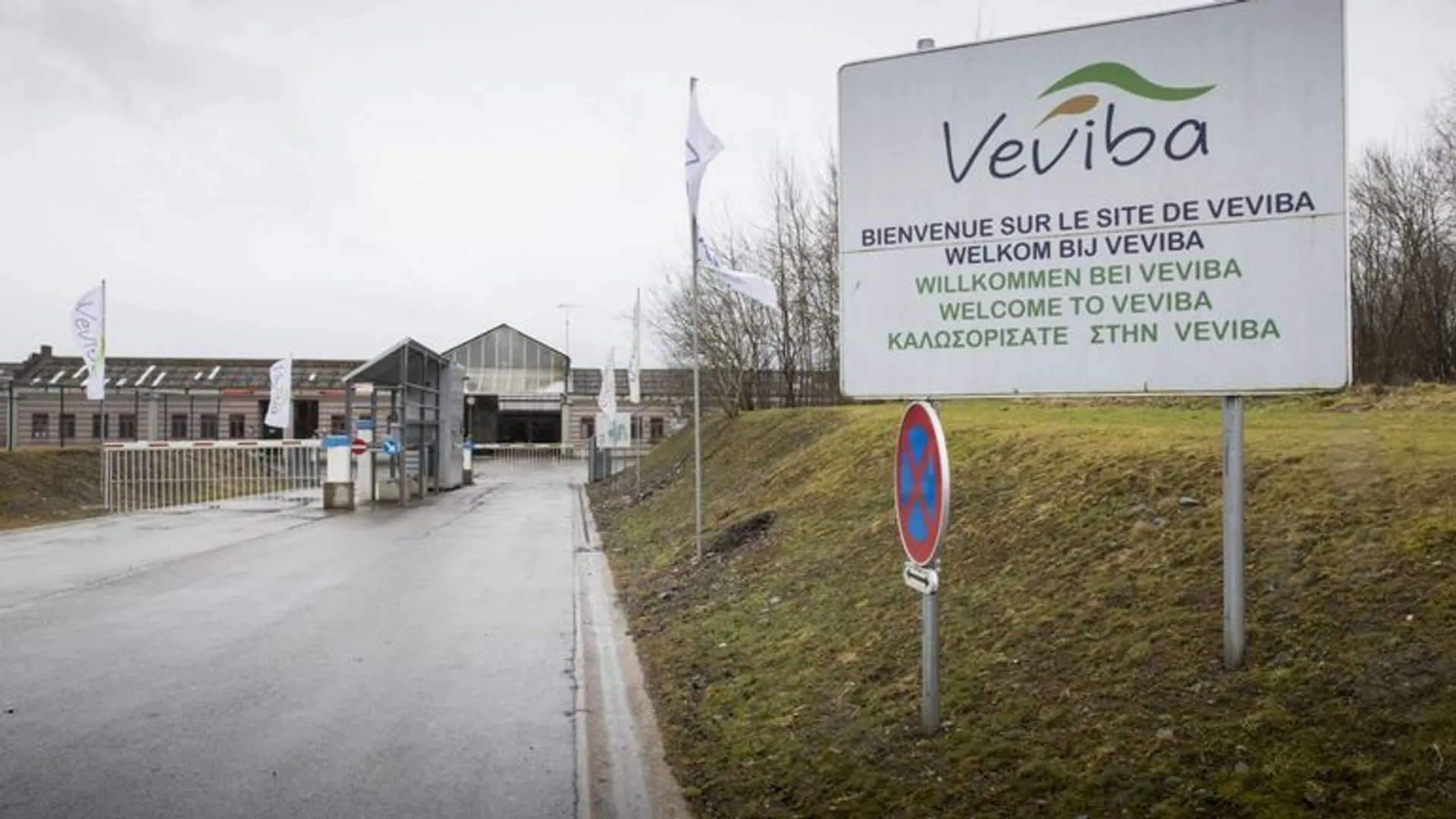 Veviba reprend ses activités sous un nouveau nom - RTBF Actus