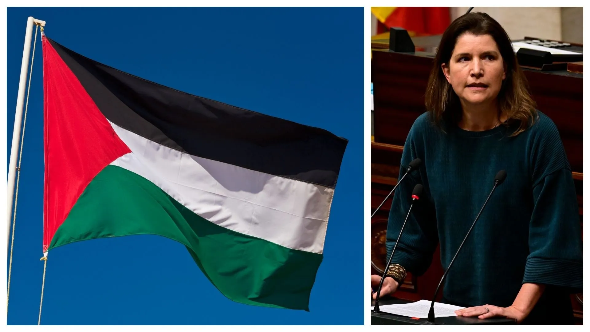 Proche-Orient : la France va reconnaître l’État palestinien, une ...